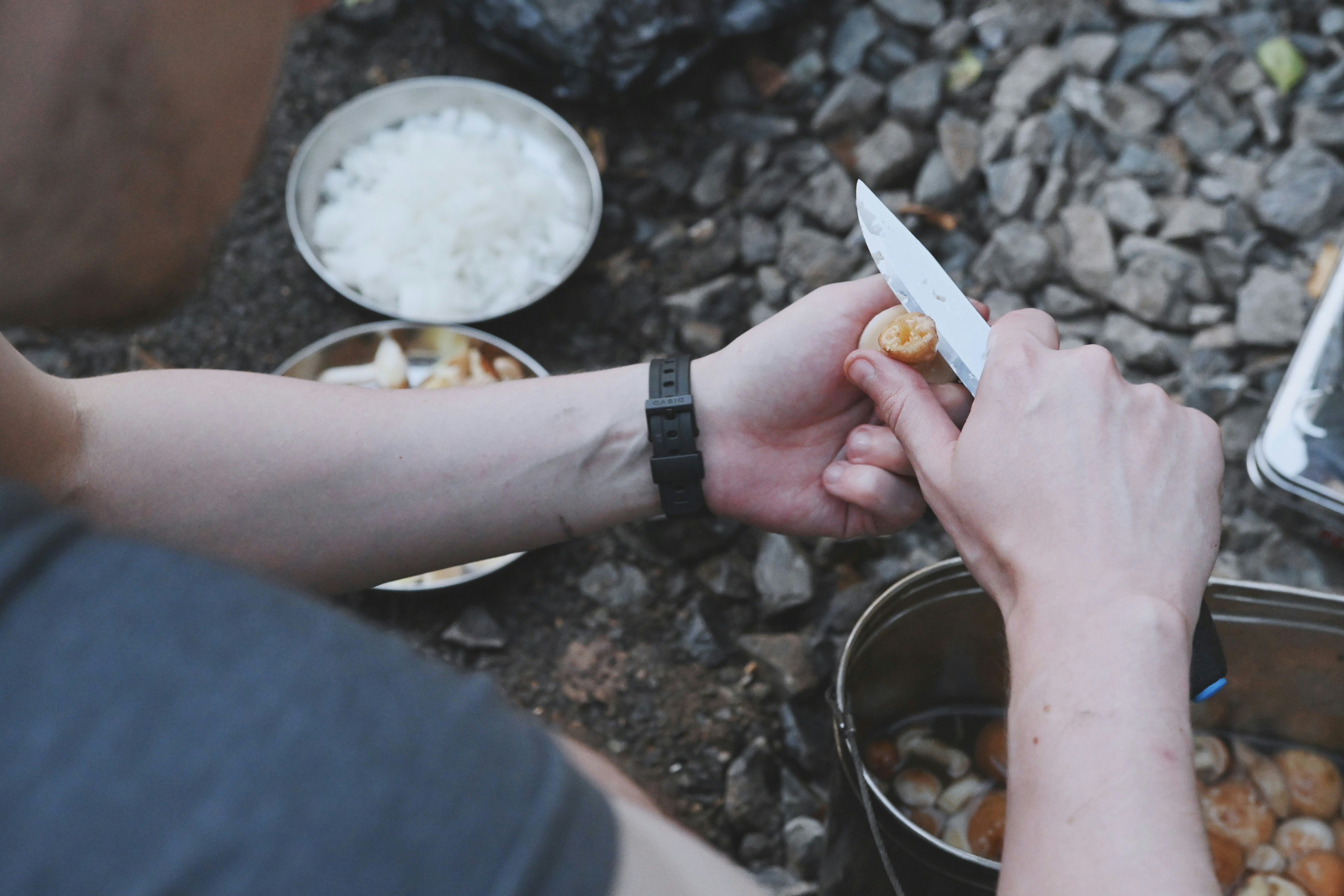 Photo by Victoria Kurcheva with Nikon Z50