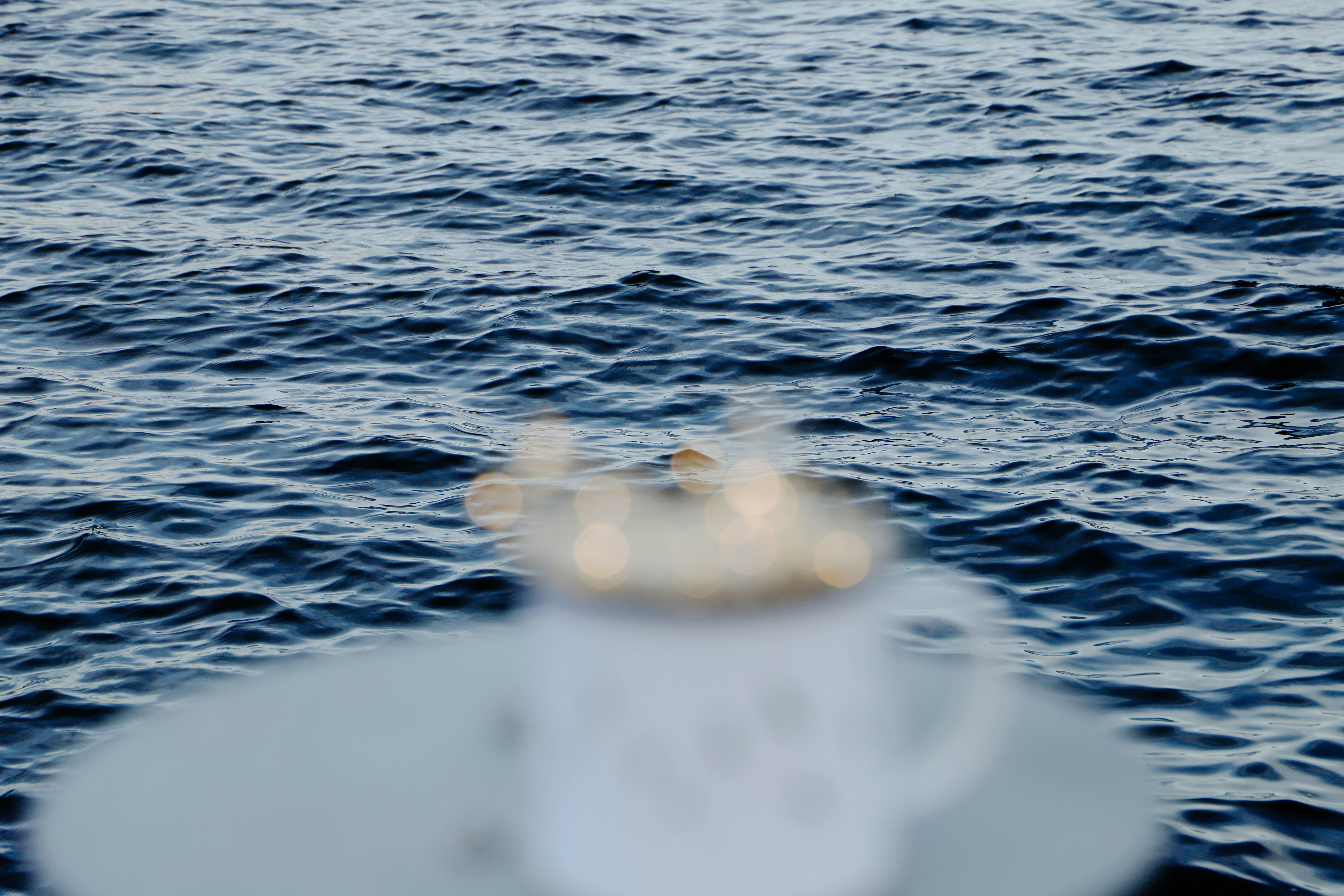 Photo by Katharina Bill with Canon EOS 6D Mark II