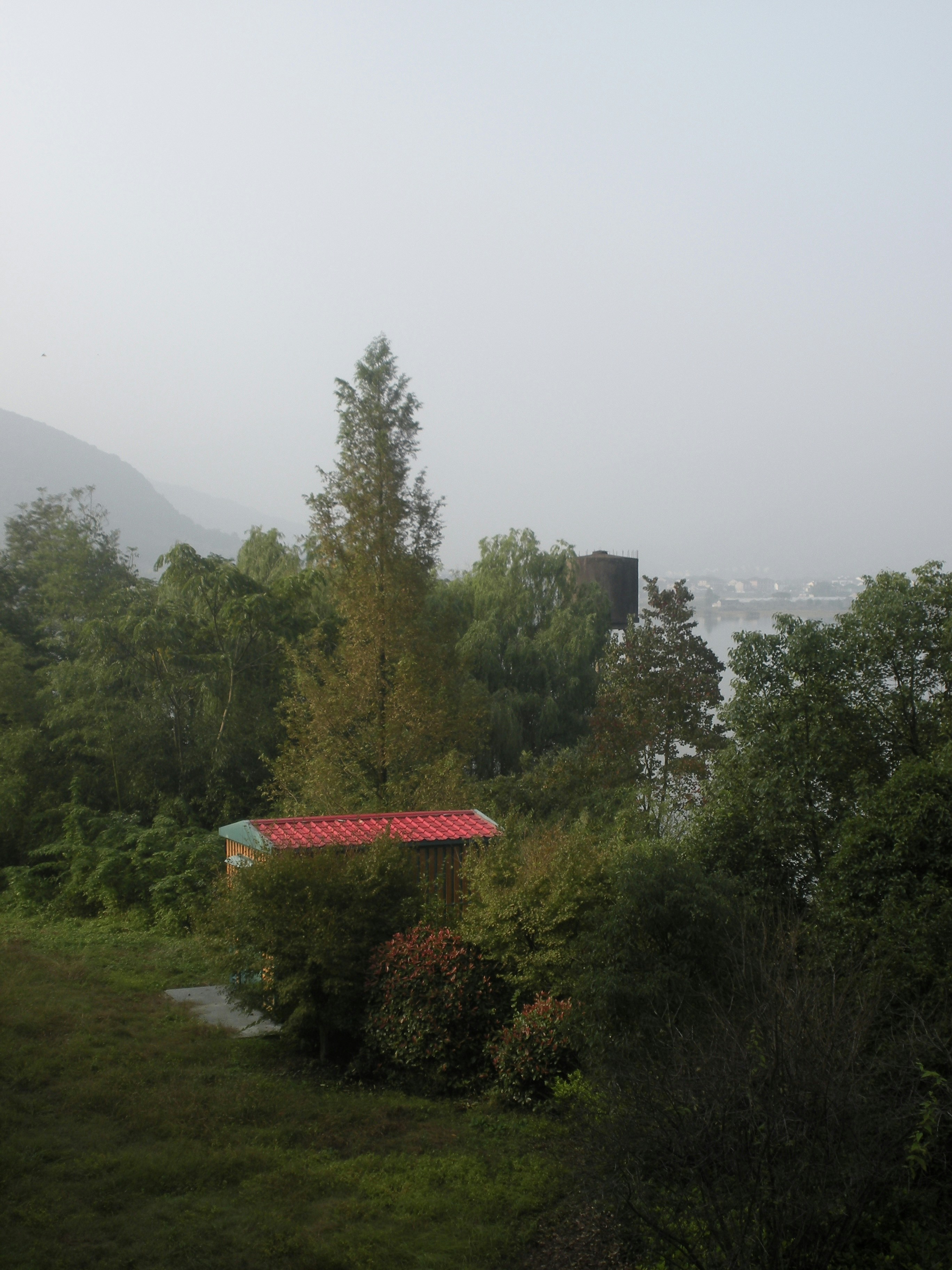 Misty hillside photograph featuring a small red-roofed shed among dense trees, with distant buildings veiled by haze.