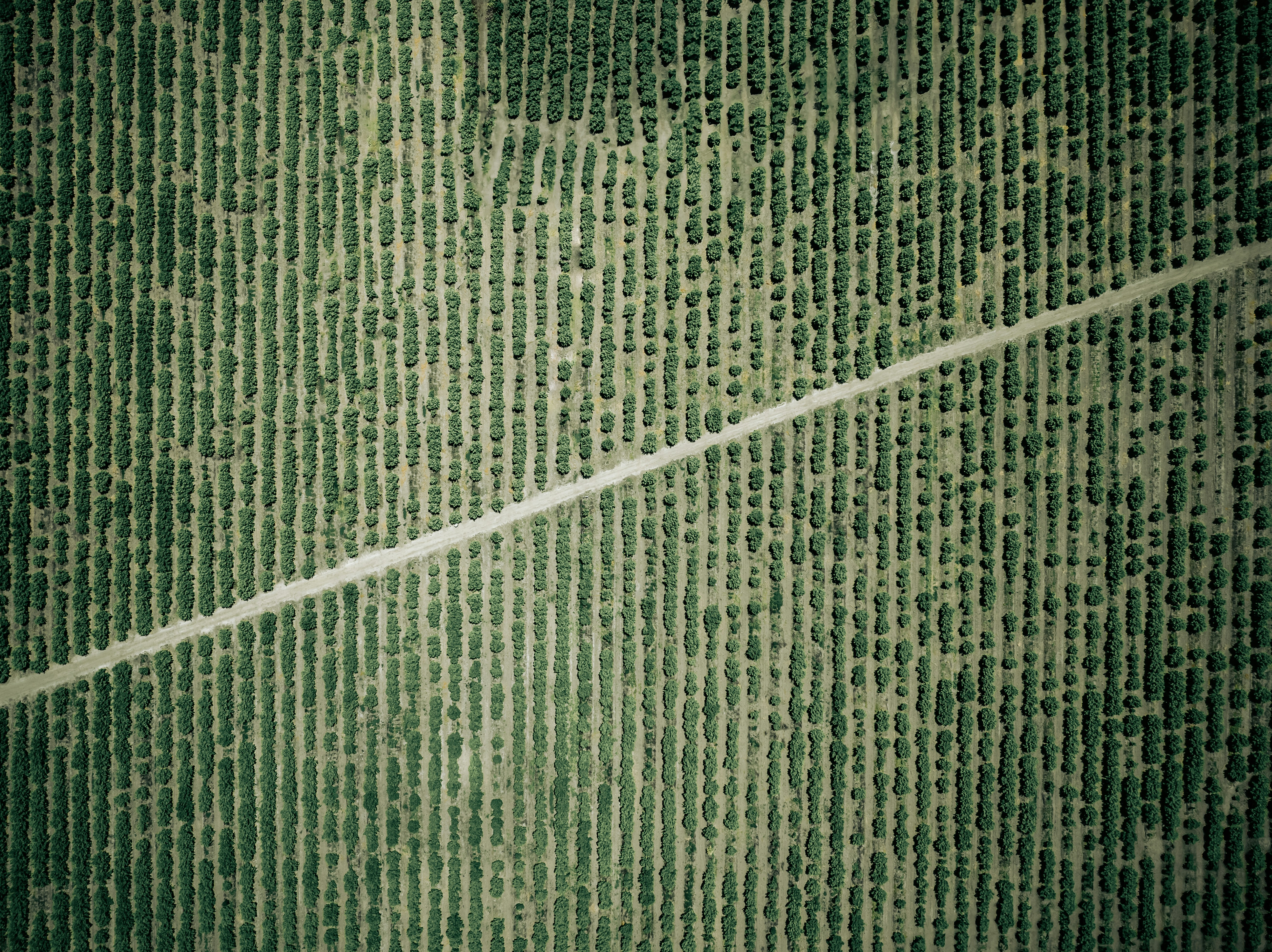 Una vista aérea de una cancha de tenis con líneas en el césped foto ...