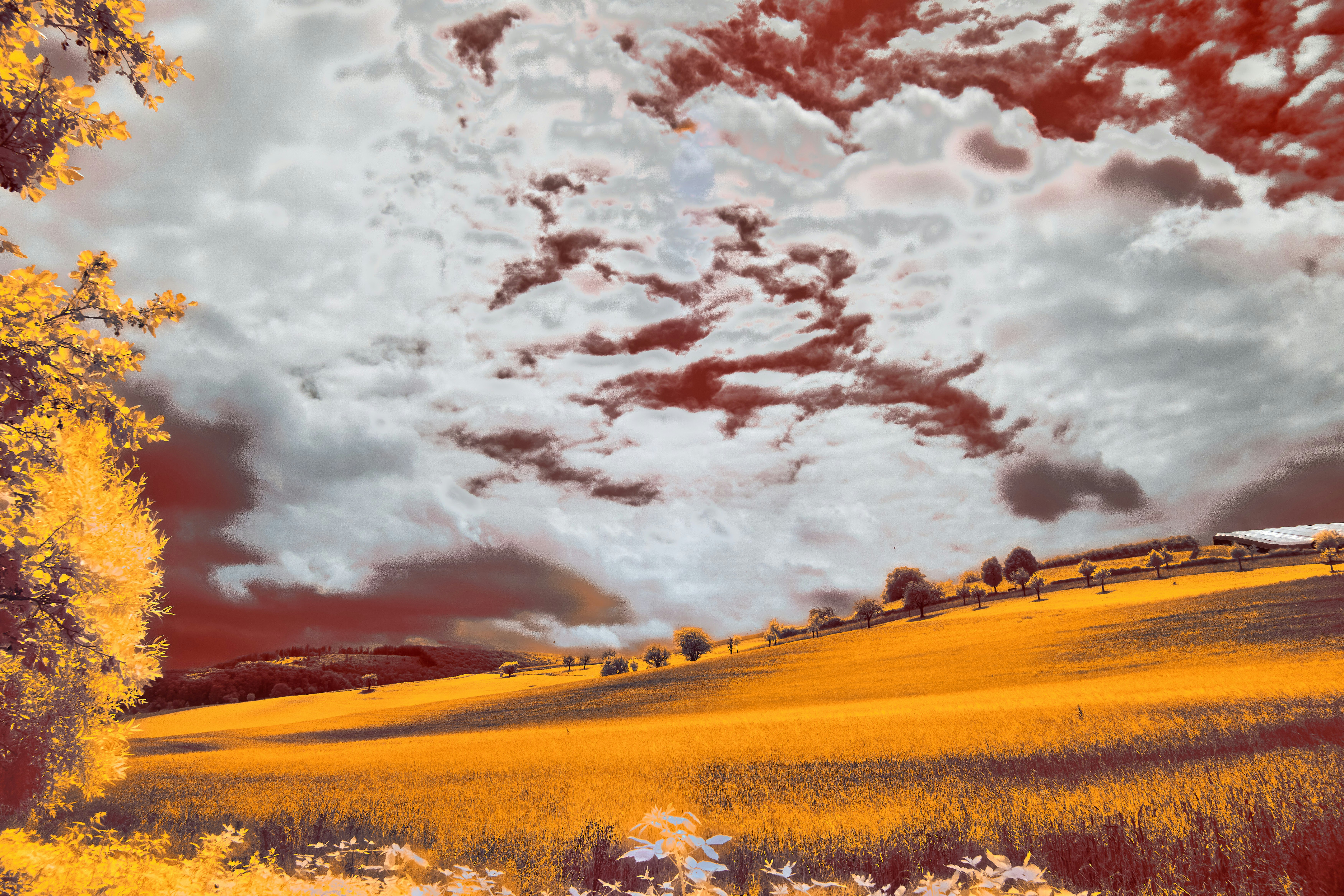 Crimson Prairie under a Turbulent Sky