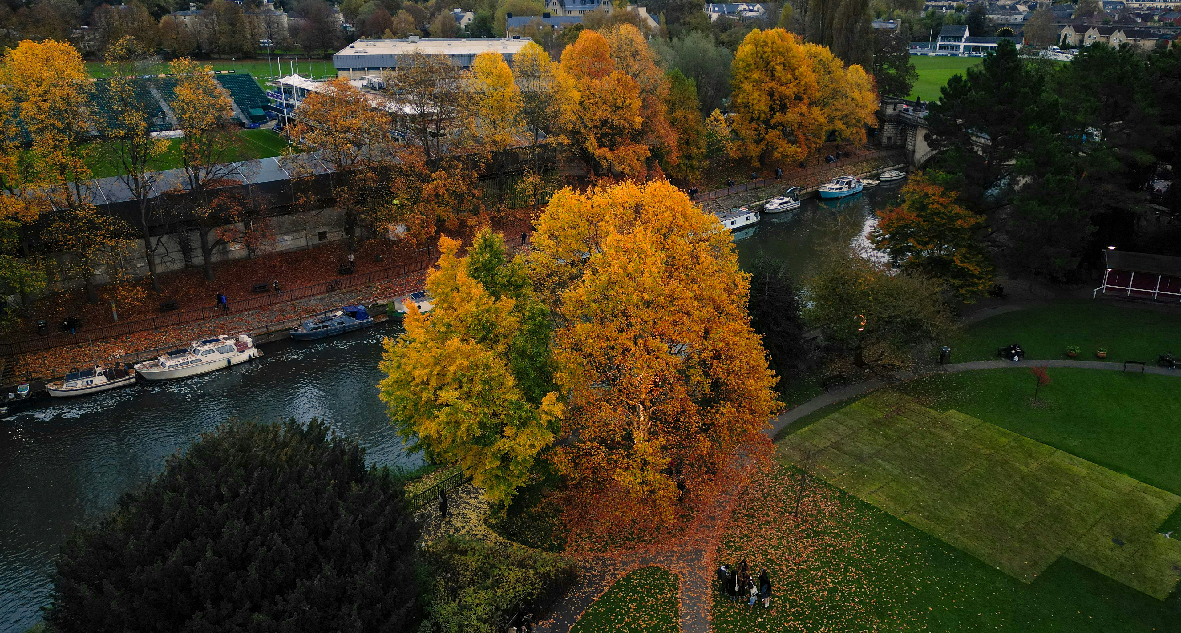 Autumn Riverbank Aerial: A Canopy of Gold and Emerald