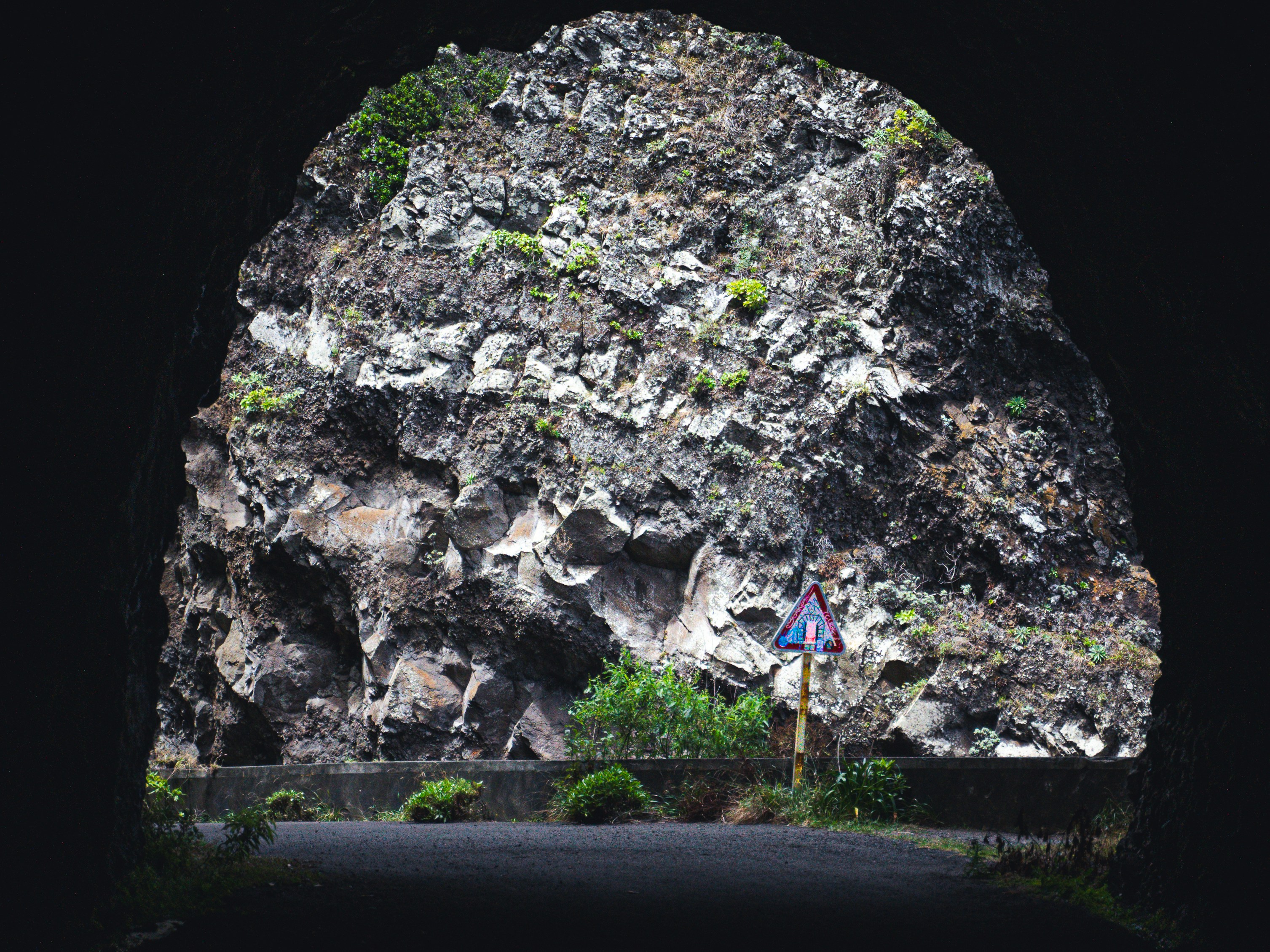 Caution at the Tunnel Mouth: Mossy Rock and Lone Road Sign