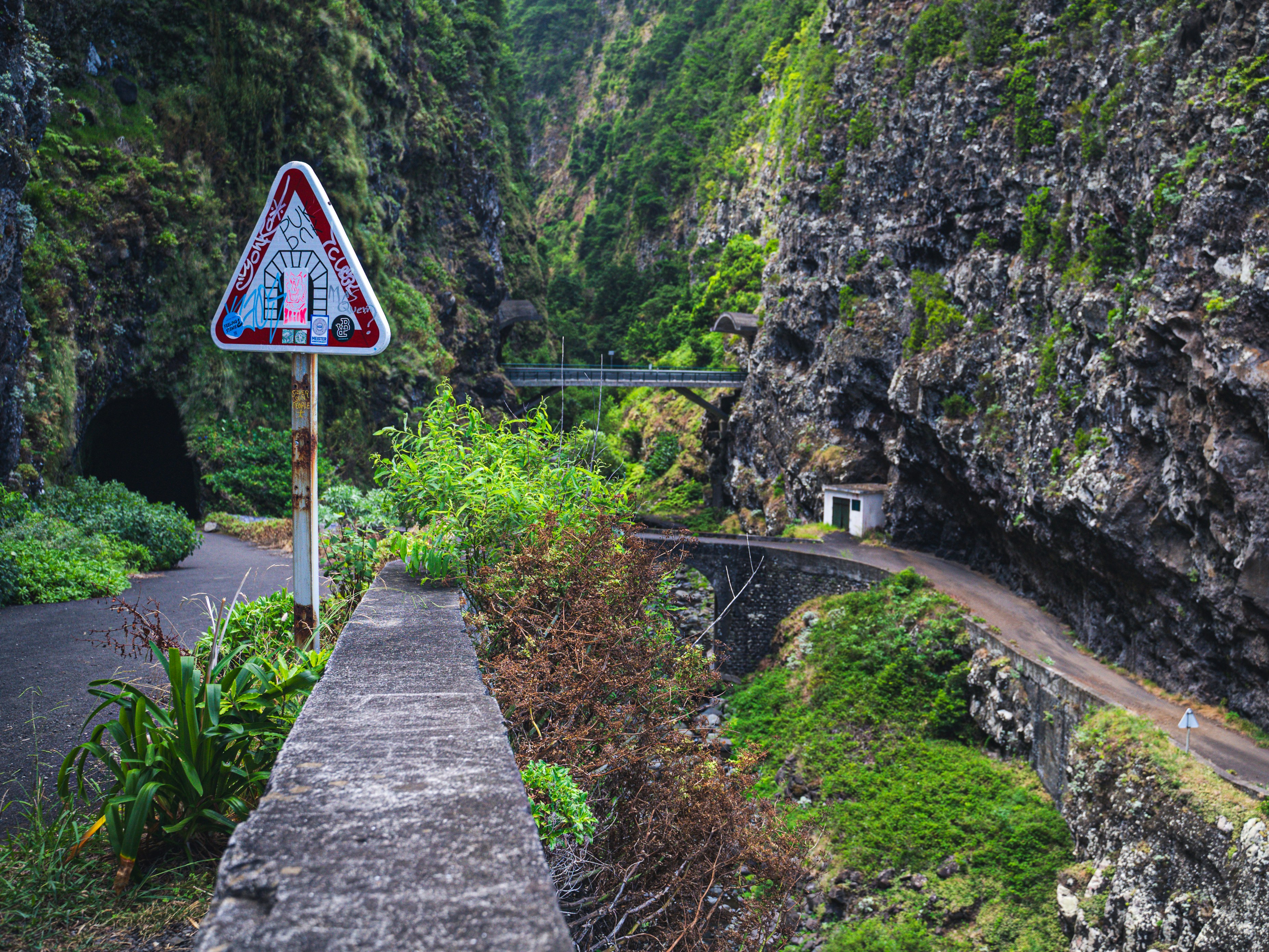 Switchback Silence: Moss-Cloaked Walls Framing a Lone Warning Sign