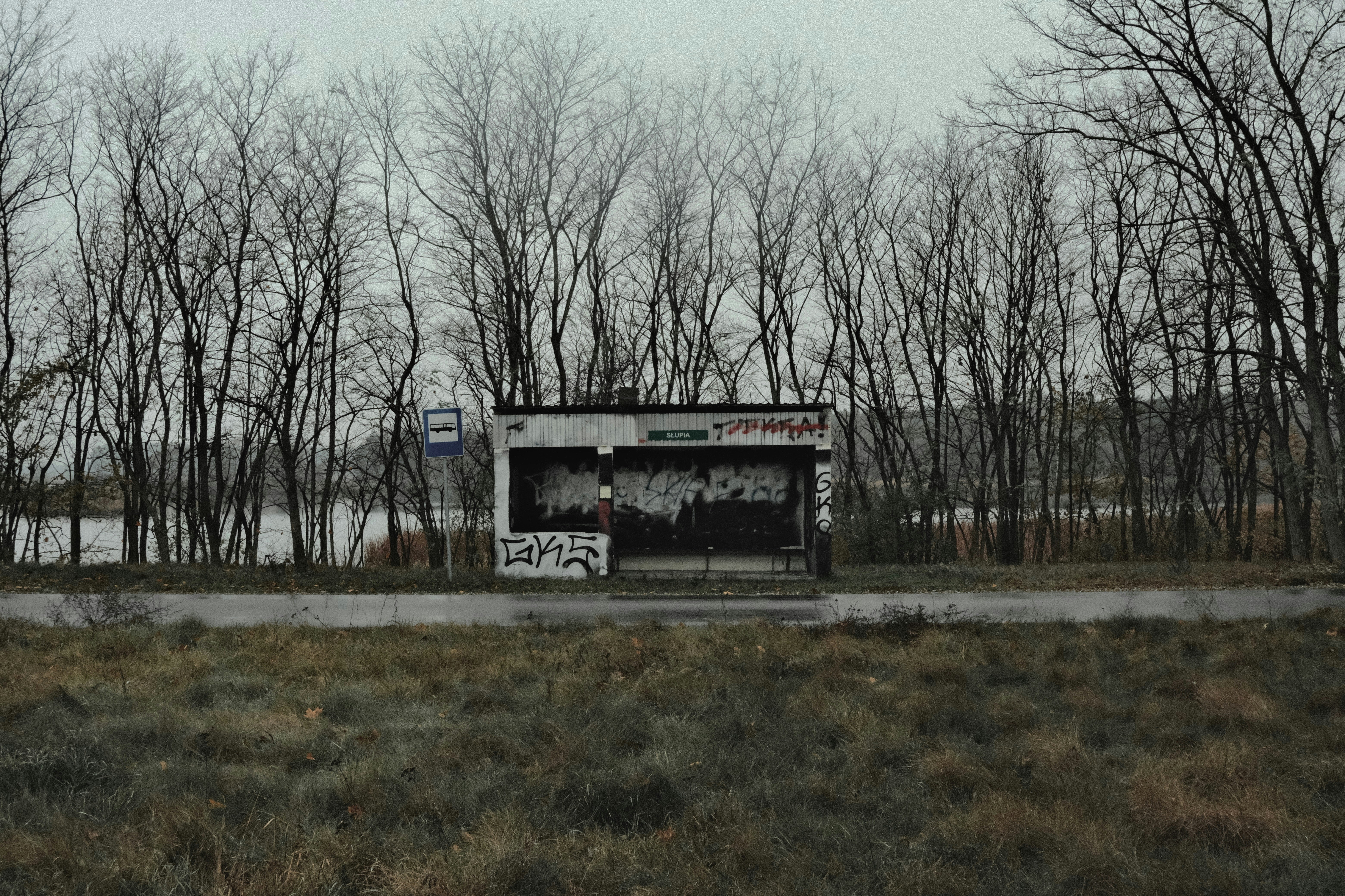 Desolate bus stop surrounded by bare trees on a cloudy day.
