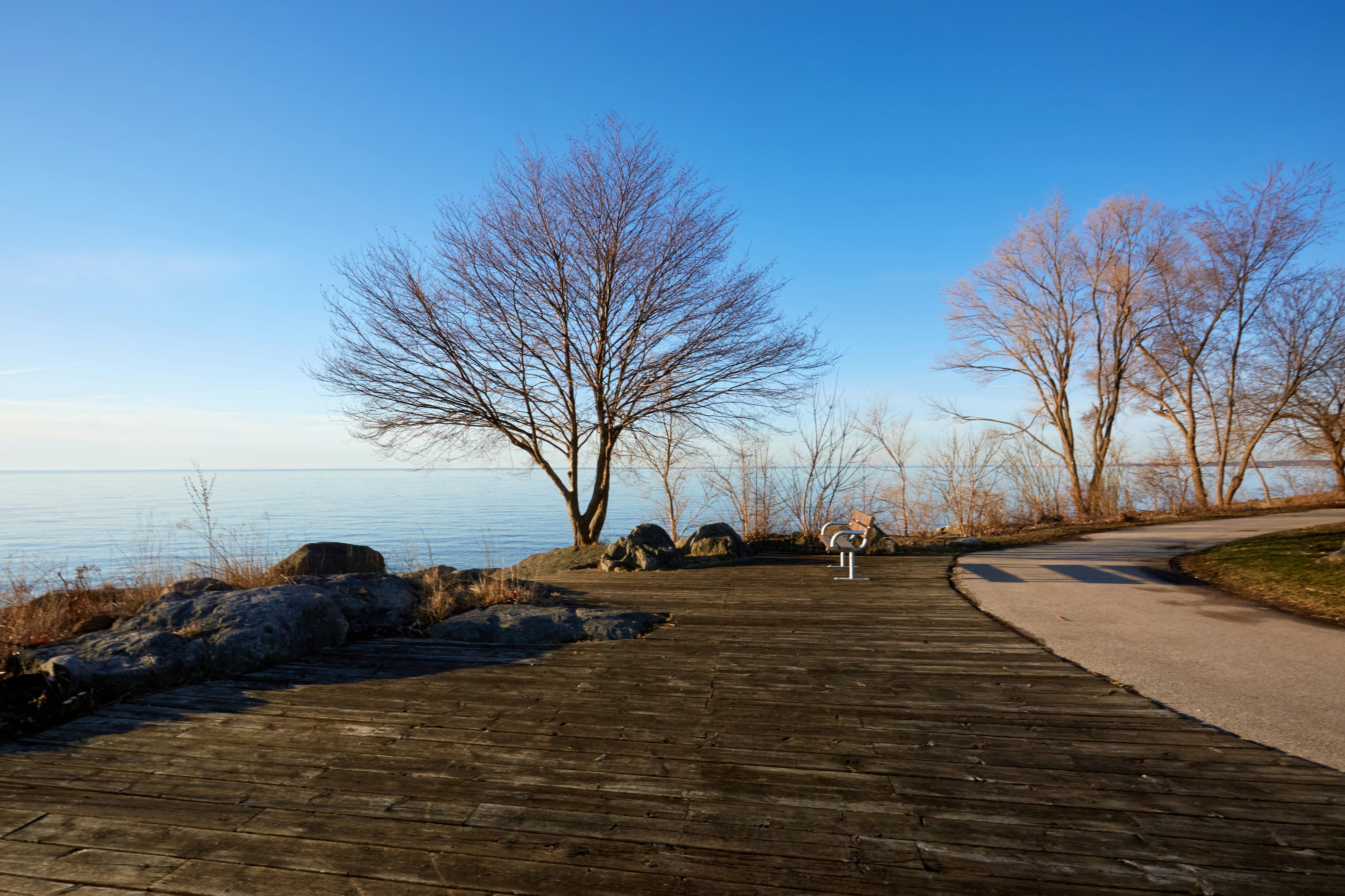 Winter Boardwalk and Bare Trees by a Quiet Lake