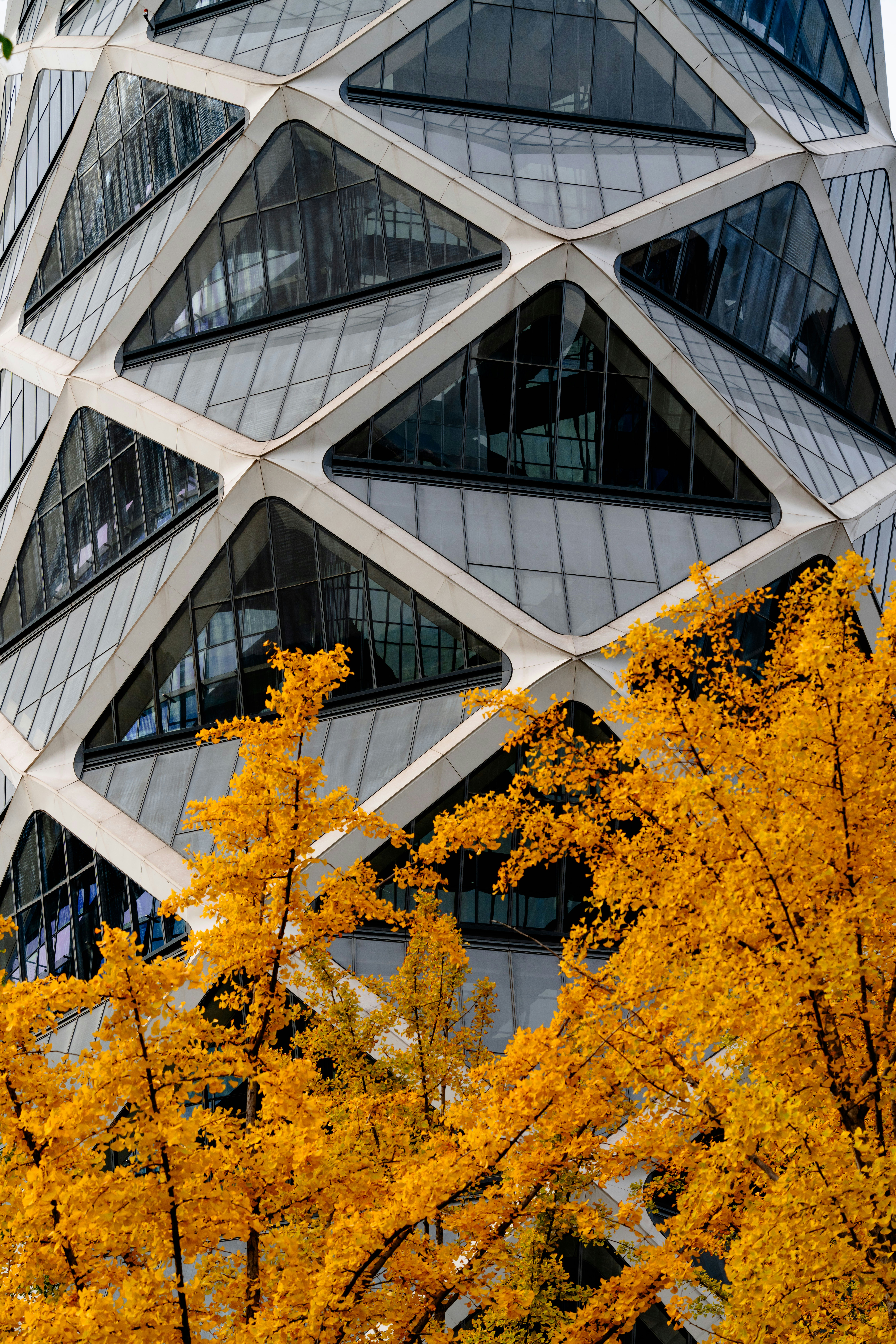 Photo by Hat Trick with Sony Alpha 7C R