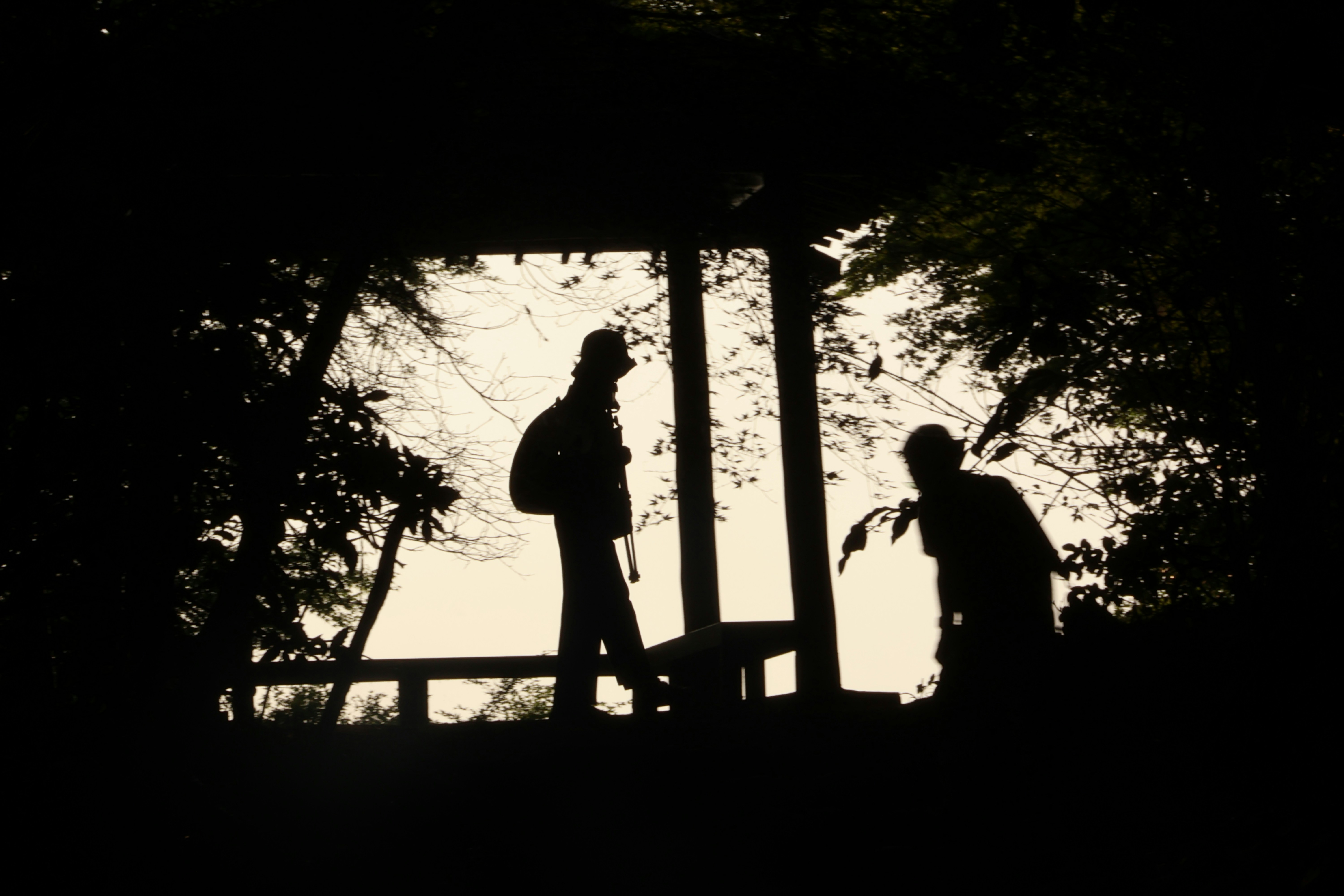Two Silhouettes on a Forest Overlook at Dusk