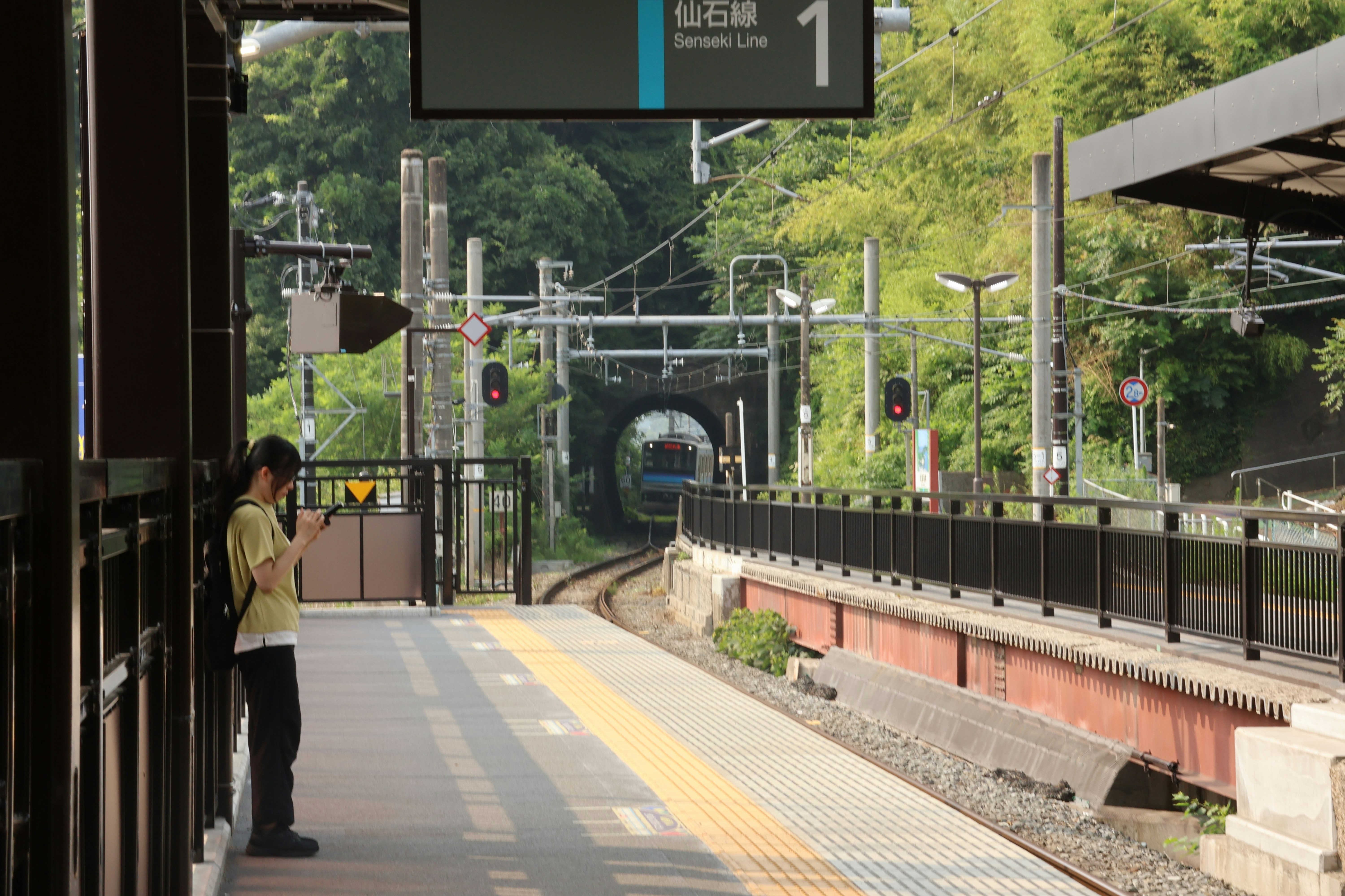 Rails to the Dark Opening: A Platform's Quiet Gaze Toward the Tunnel