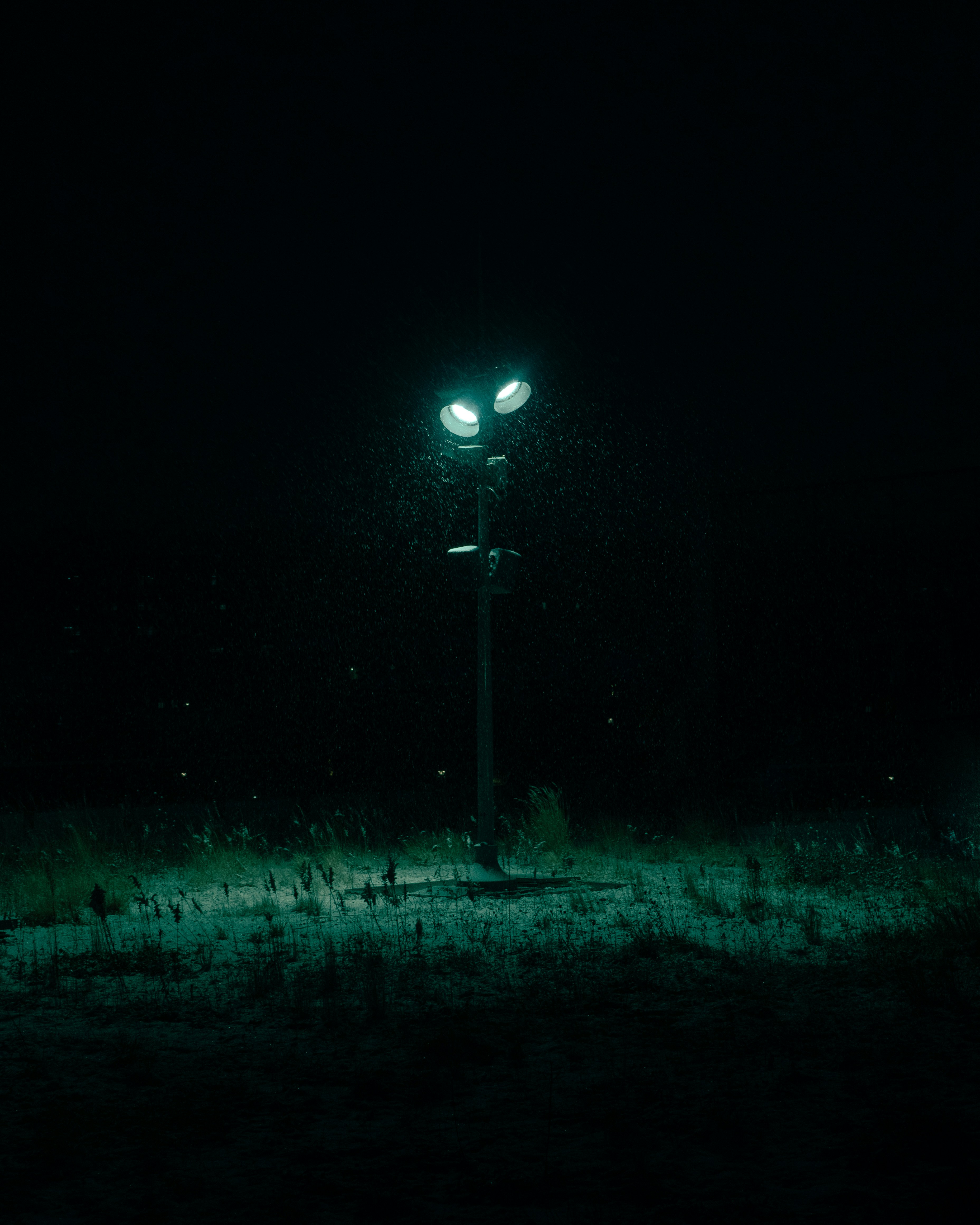 Teal Sentinel in a Frost-kissed Night: A solitary floodlight stands guard