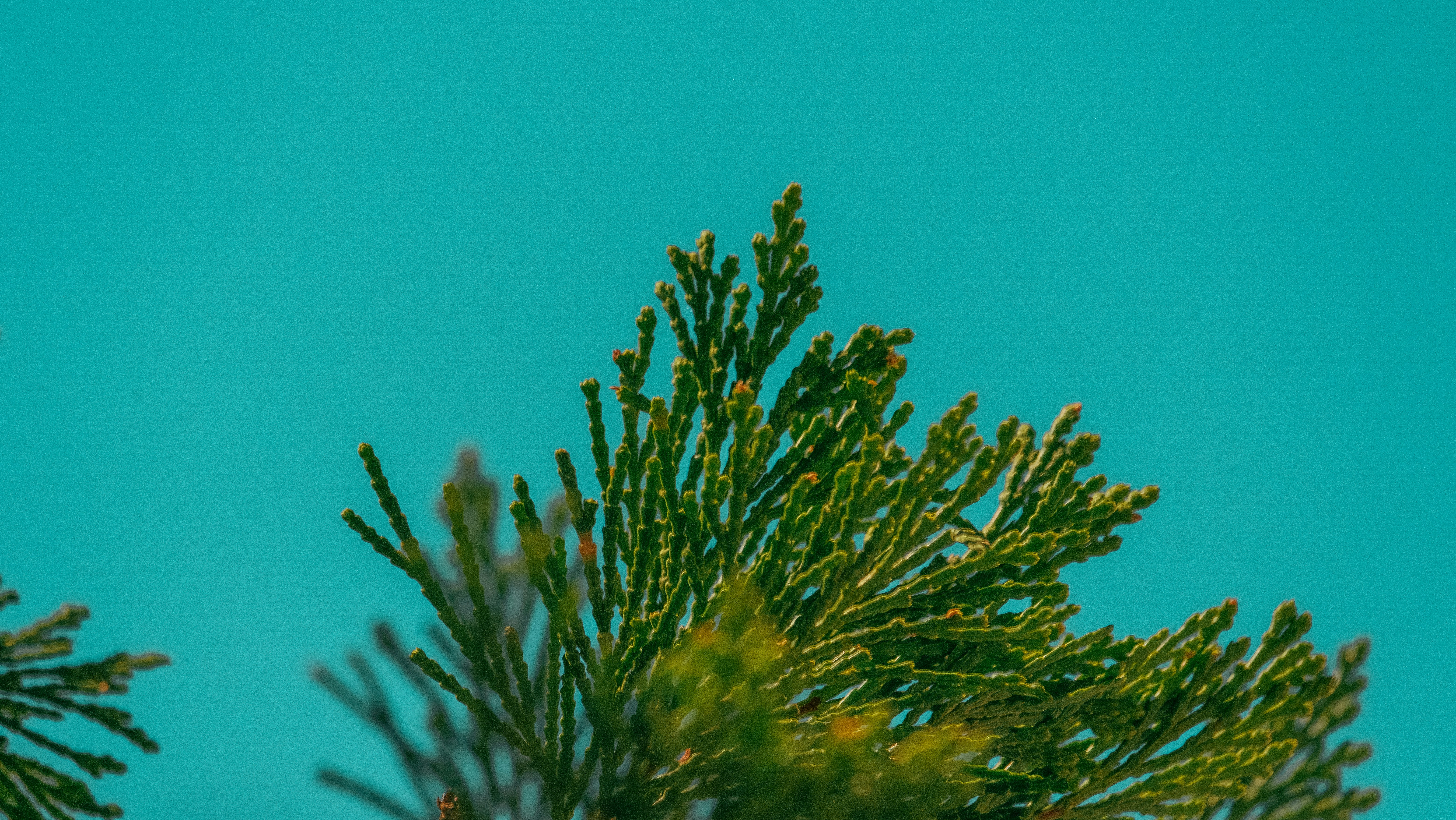 Photo by Nathan with Fujifilm X-T4