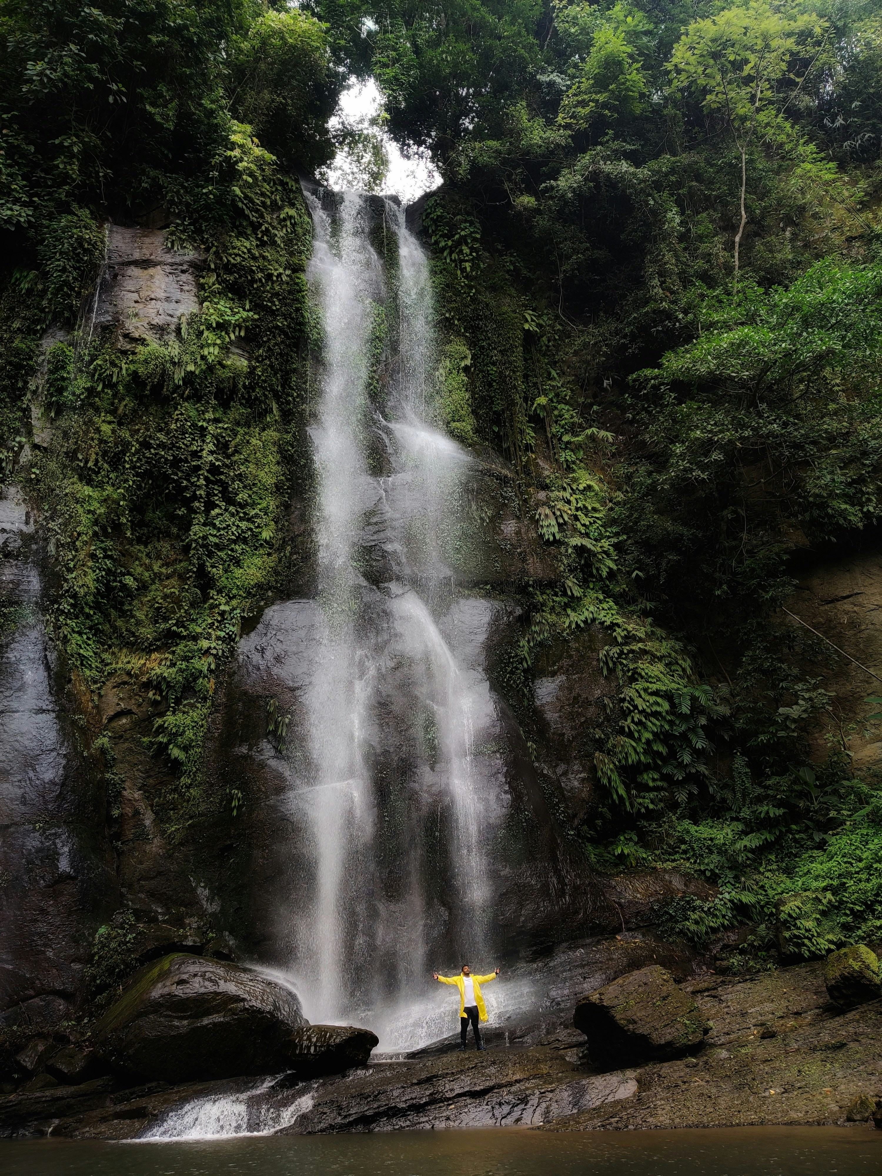 Emerald Curtain: A lone figure in yellow beneath a forest waterfall