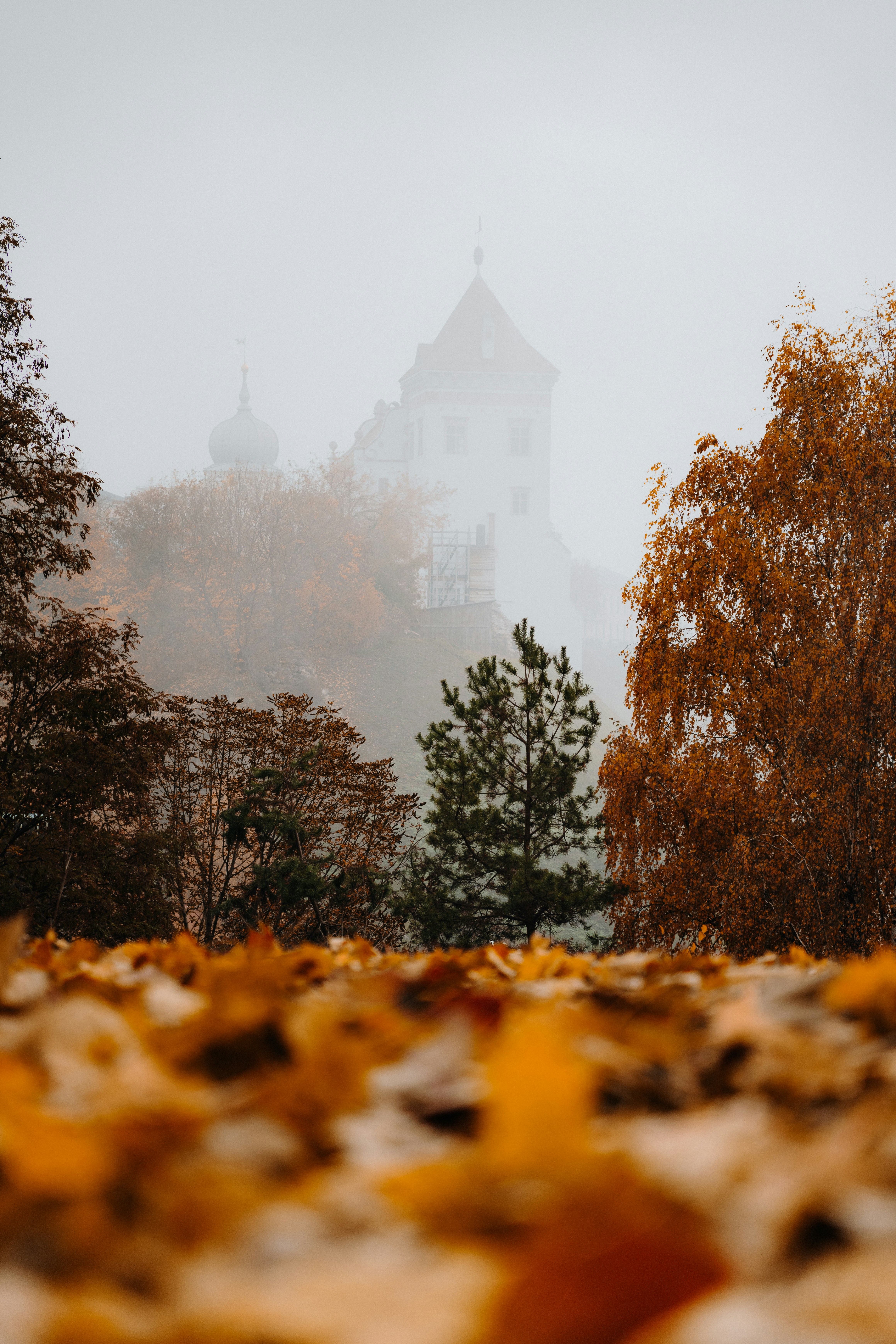A foggy view of a building with trees in the foreground photo – Free ...