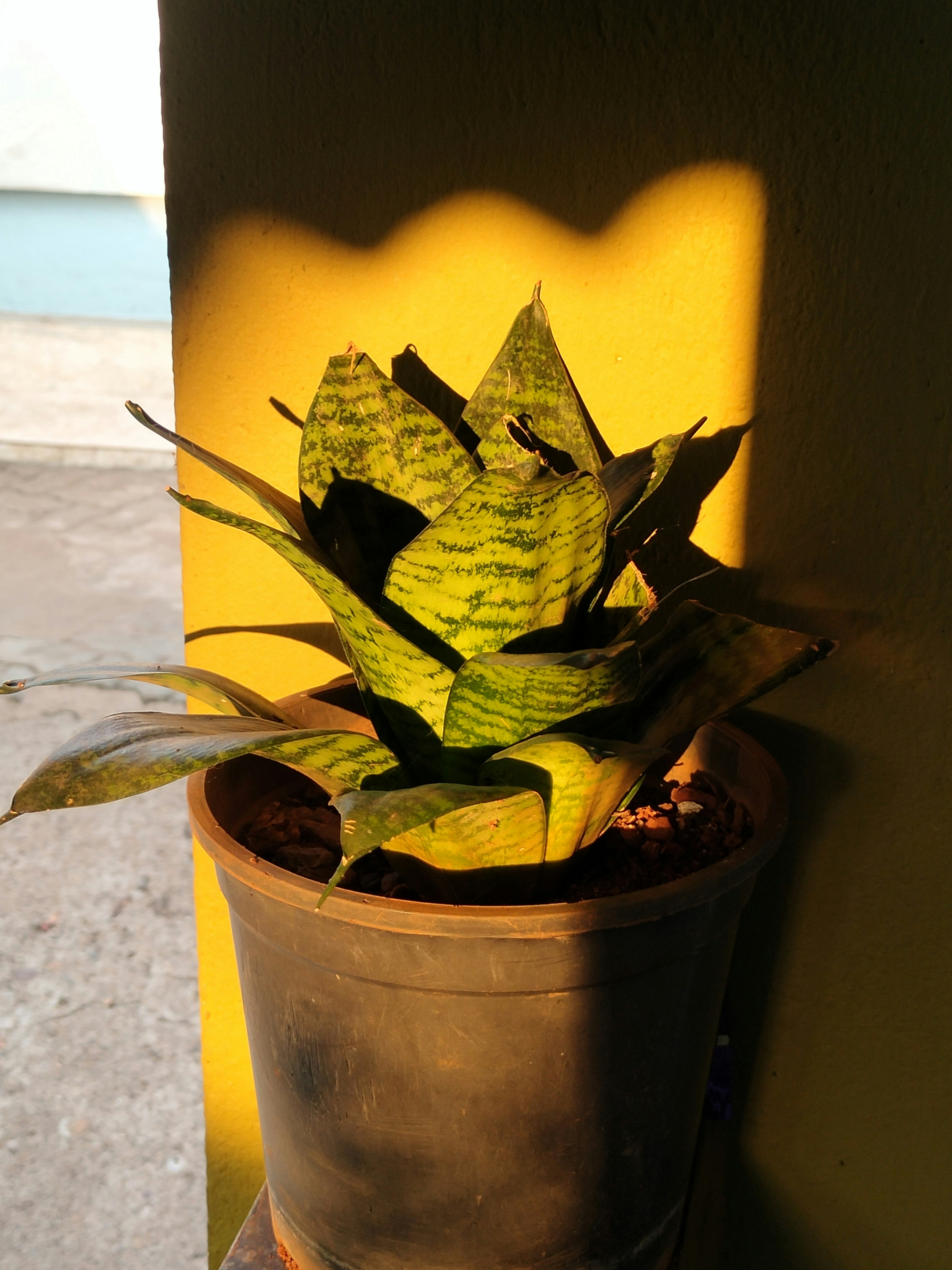 Realme 7i Sample Shots