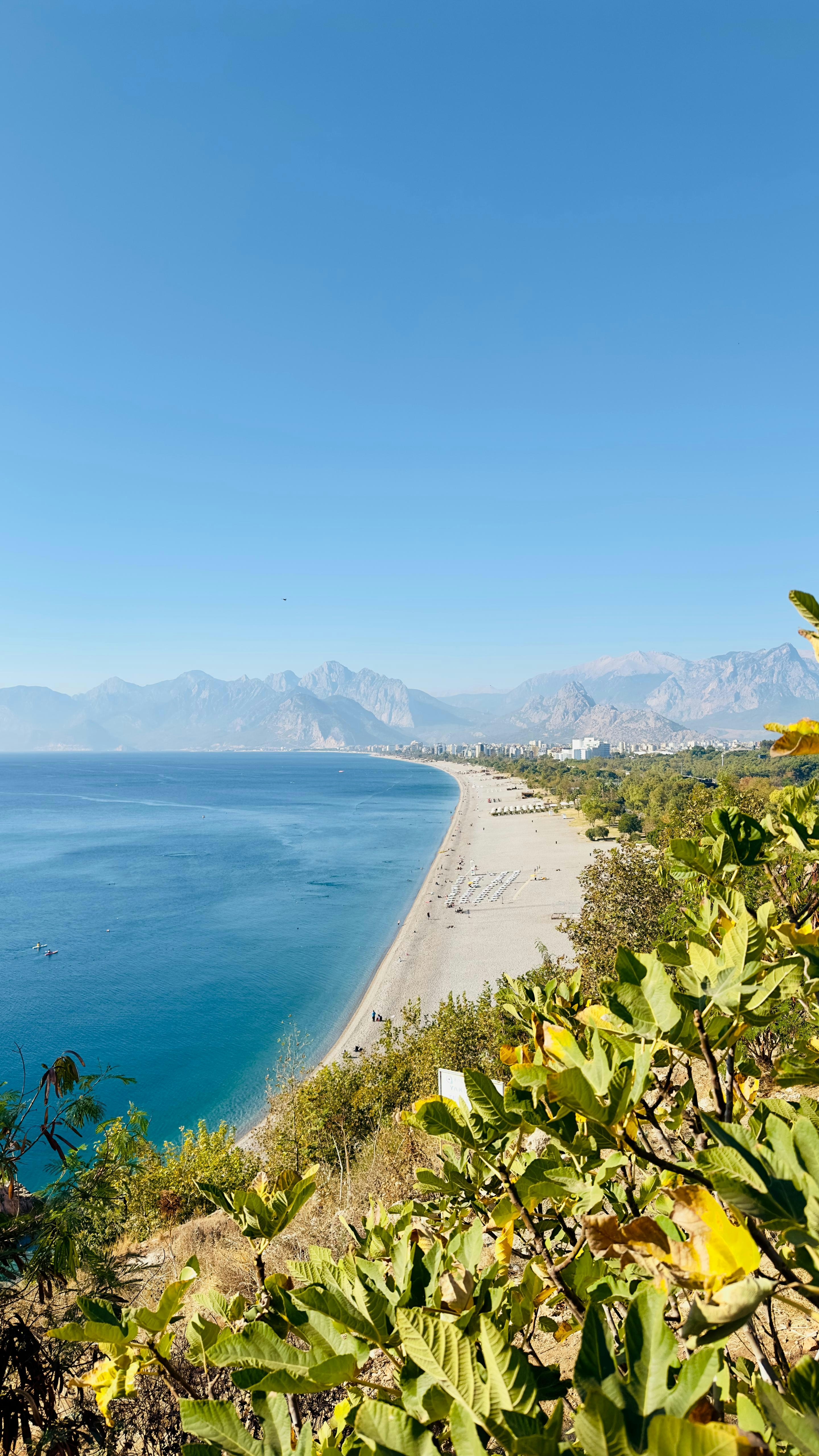 Una vista de una playa desde la cima de una colina foto – Imagen de ...