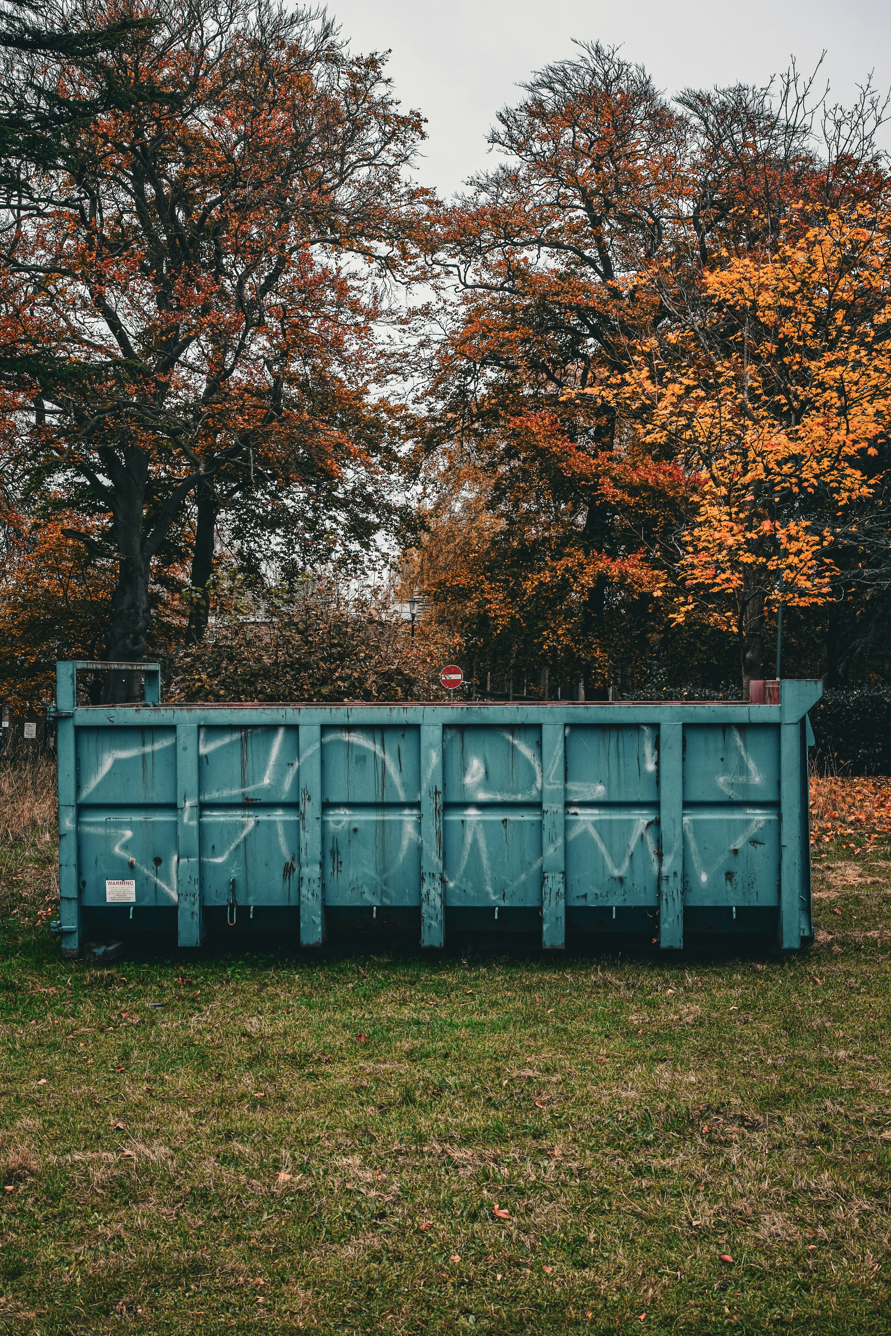 Graffiti-covered dumpster surrounded by autumn foliage in a park setting.