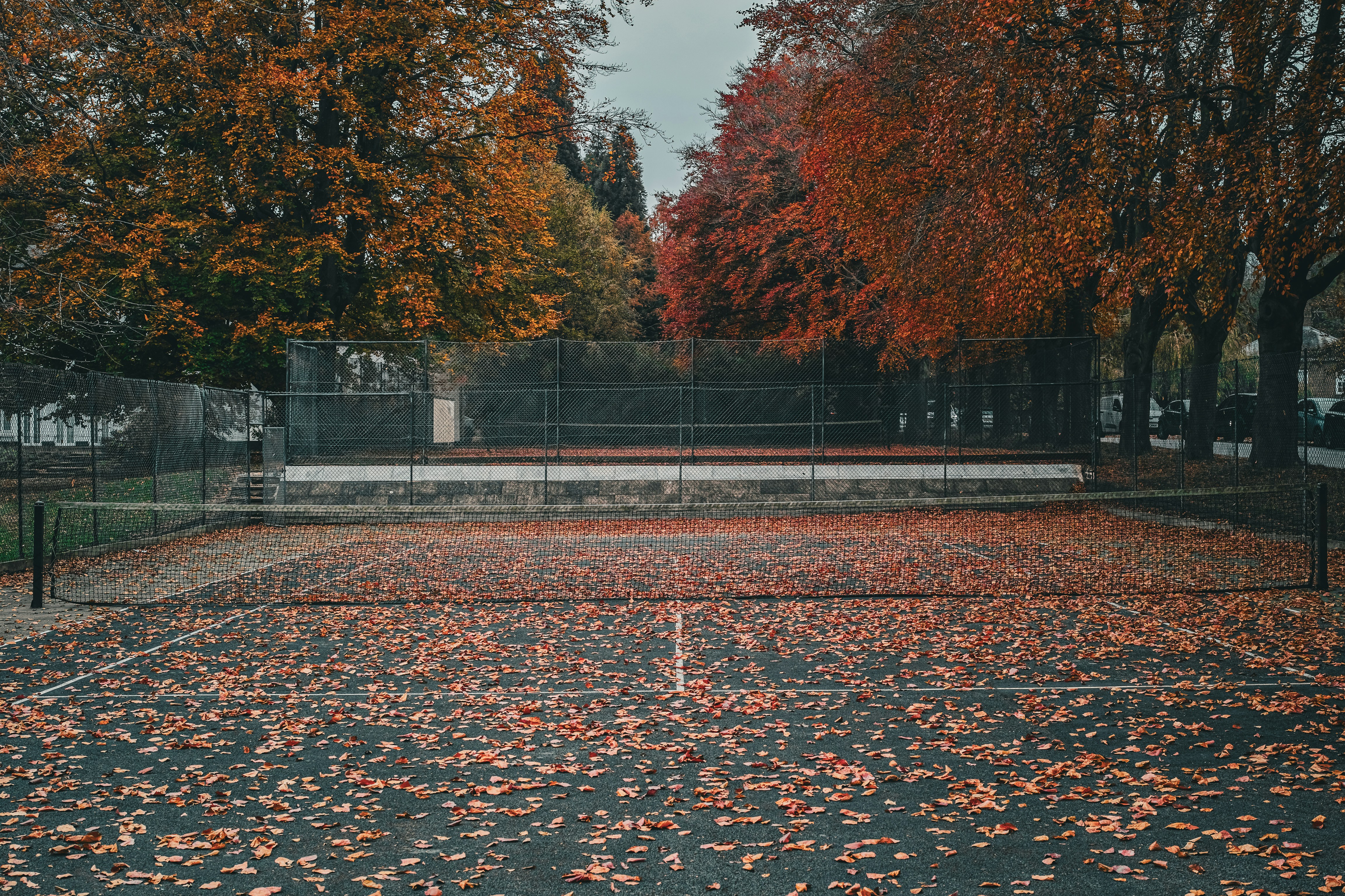 Autumn leaves cover a vacant tennis court fenced by a chain-link barrier, with trees glowing orange in the background. A calm park mood is captured in muted light.