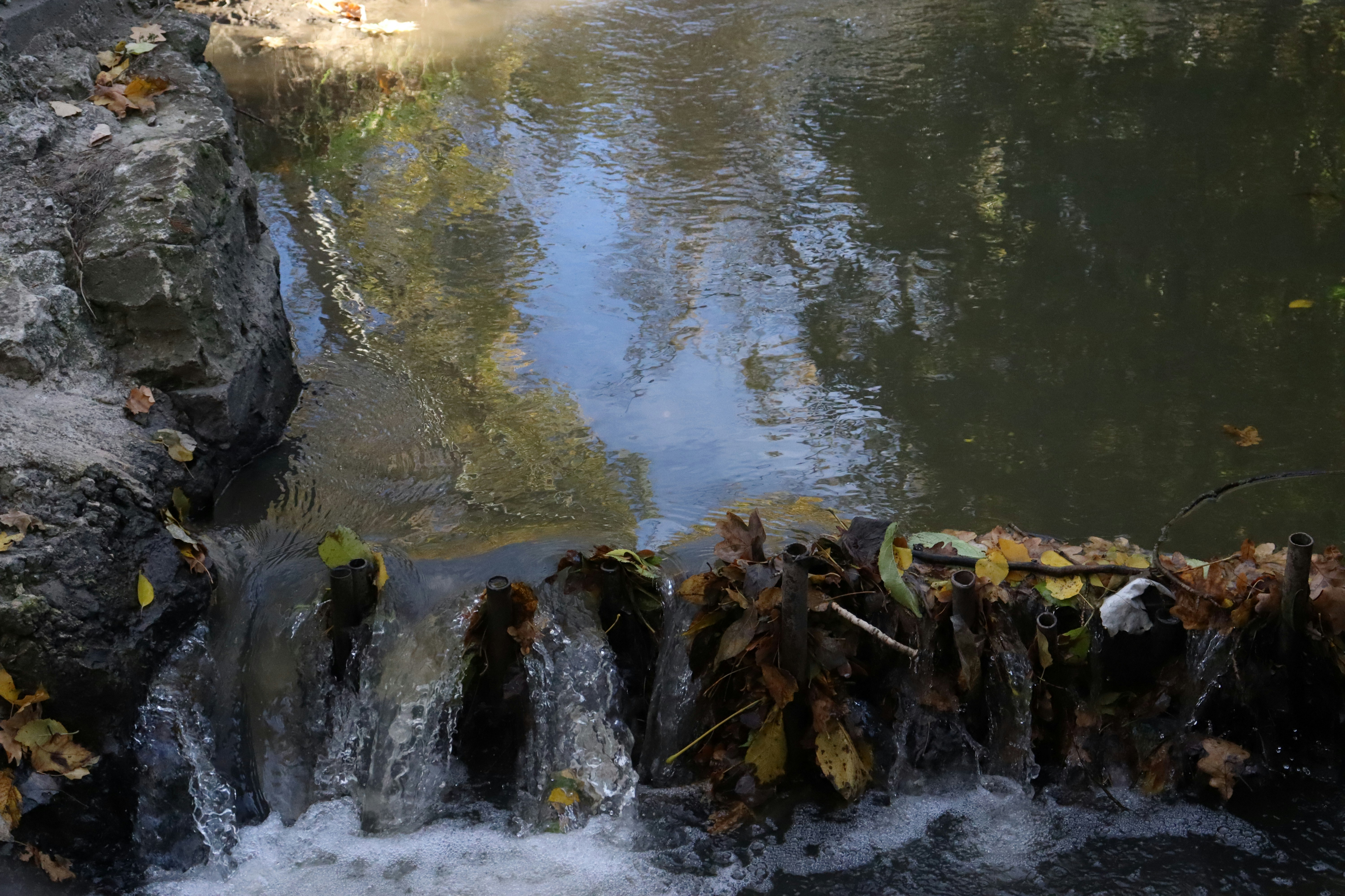 Whispering Spillway: Autumn Leaves Trickle Over a Weathered Barrier