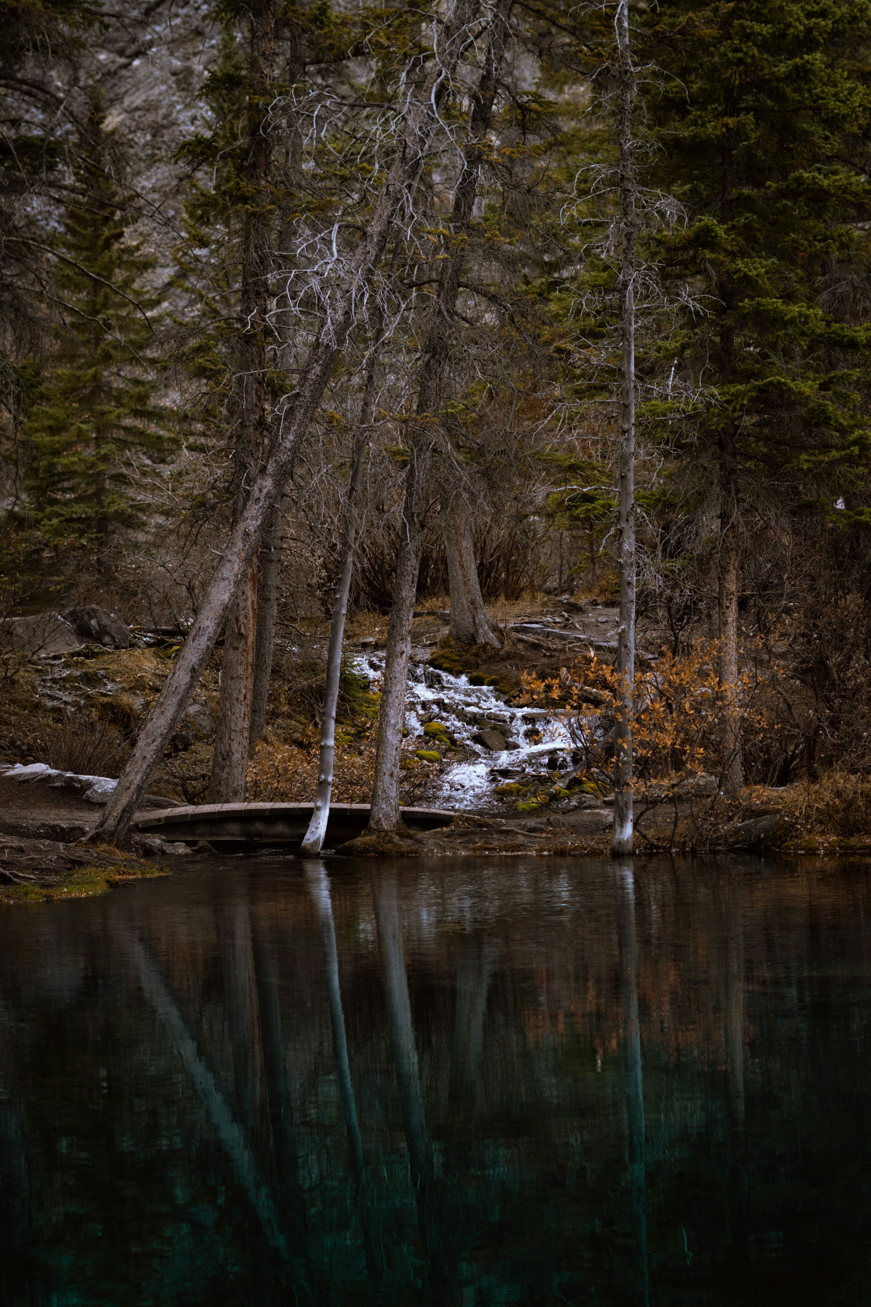 A body of water surrounded by trees and snow photo – Free Grassi lakes ...