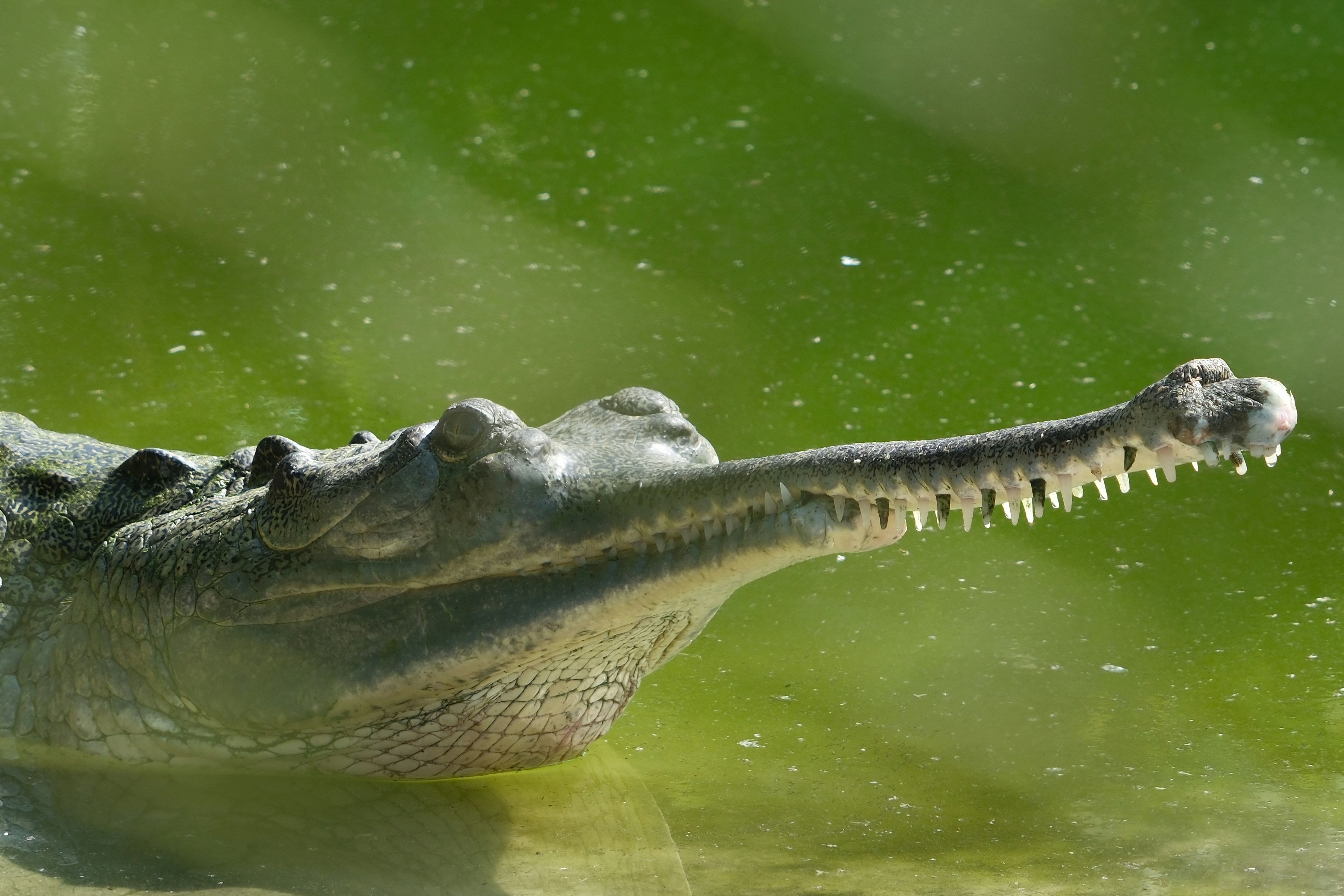 Photo by Walter Coppola with Fujifilm X-H2