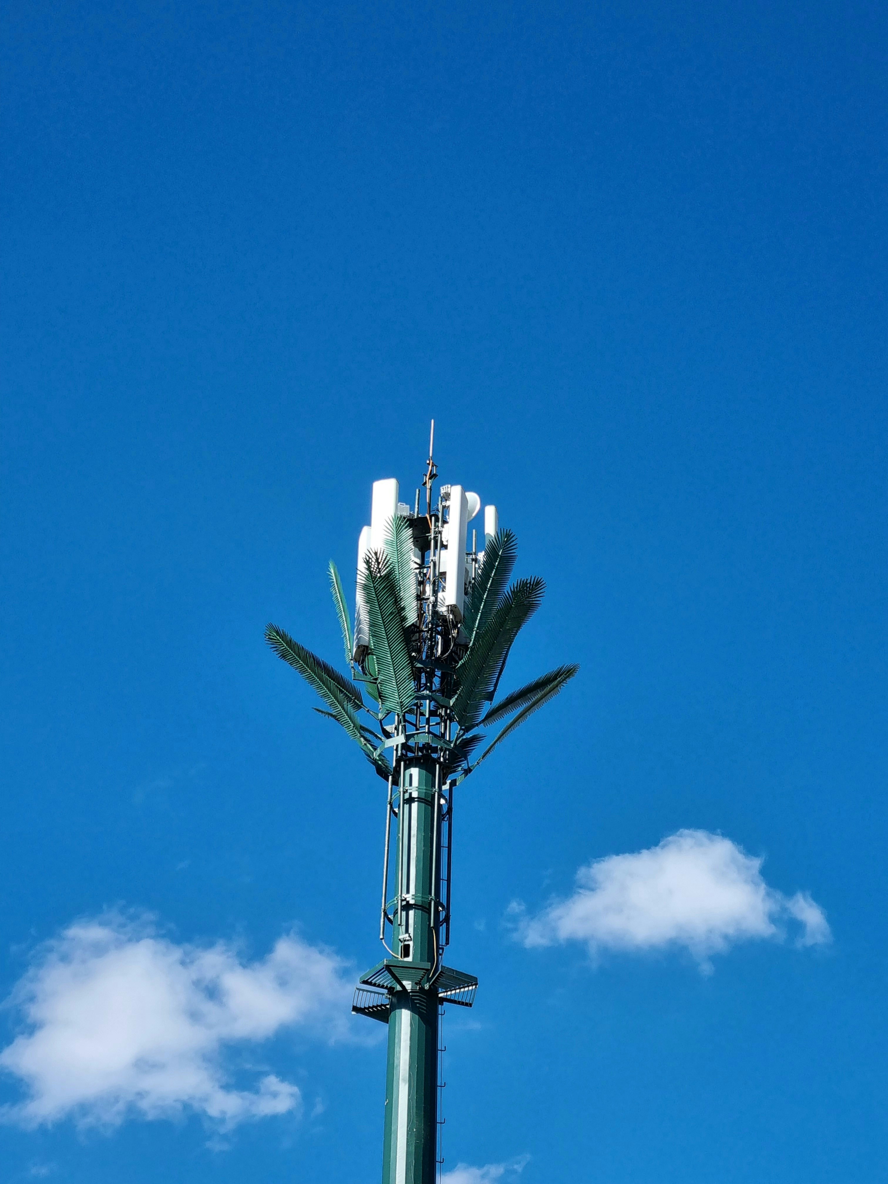 Photo by Taha Habboba with Samsung Galaxy S21