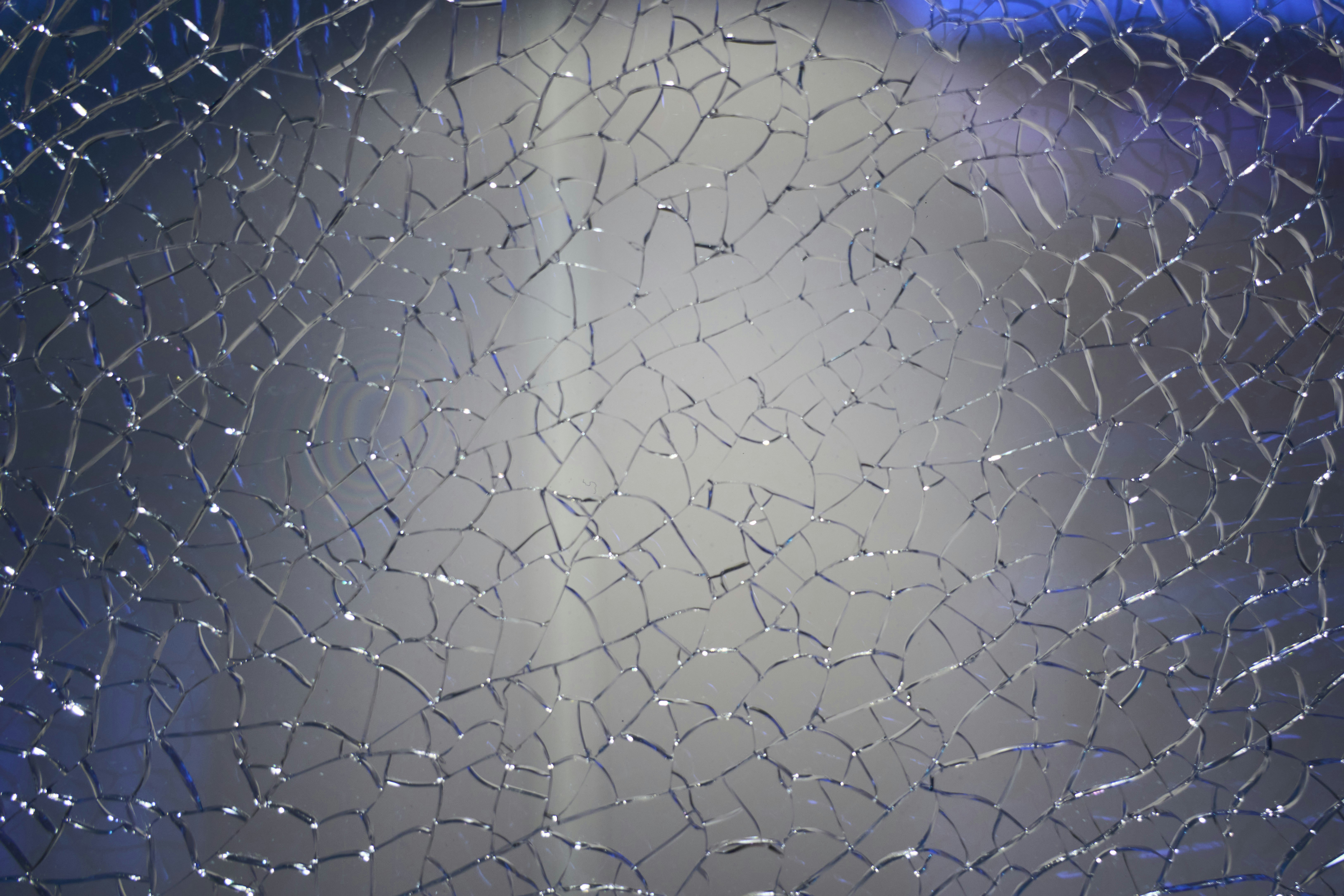 Photo by Wolfgang Hasselmann with Sony Alpha 7 IV