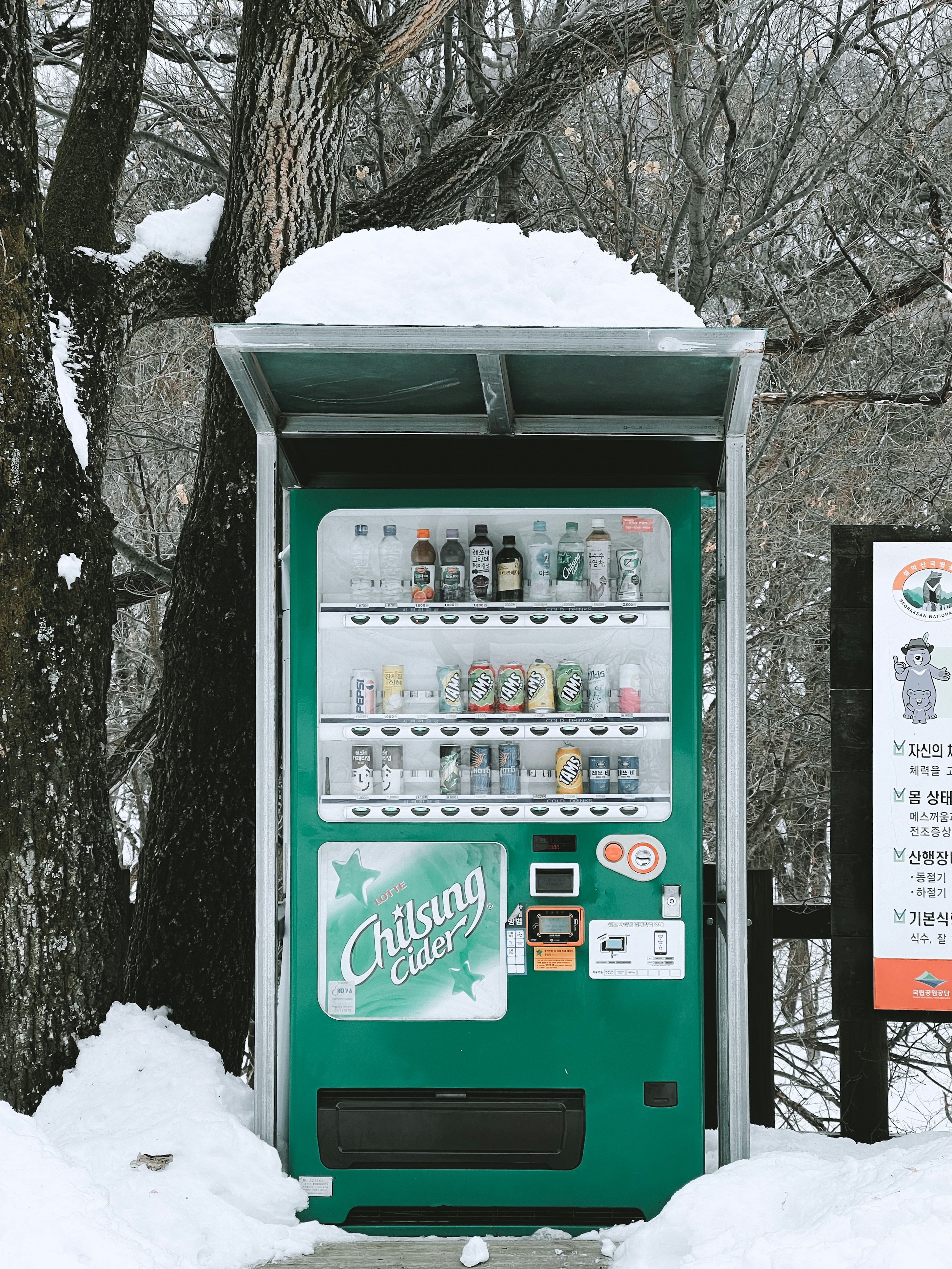 A green vending machine sitting in the snow photo – Free Machine Image ...