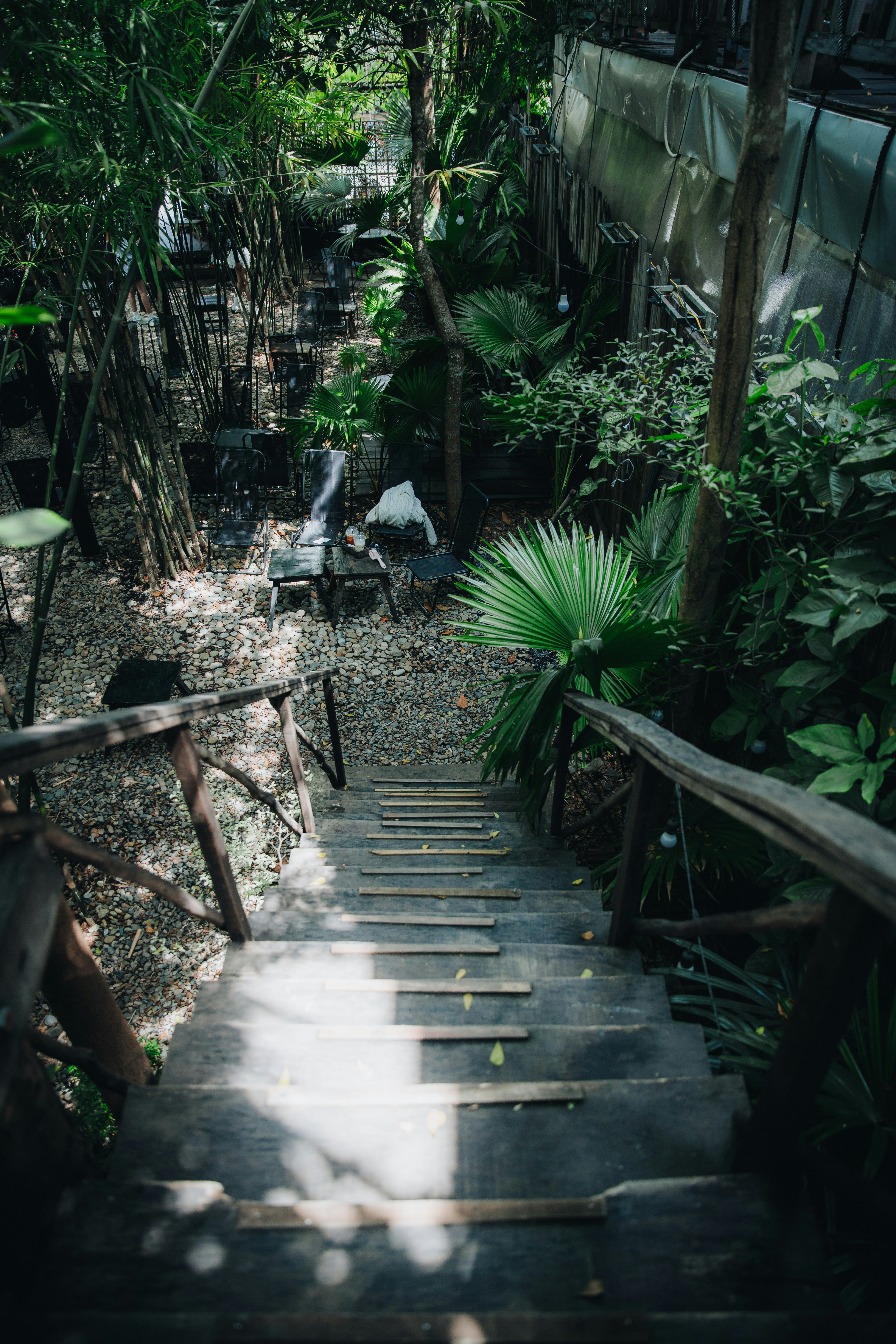 Verdant Staircase to a Quiet Courtyard