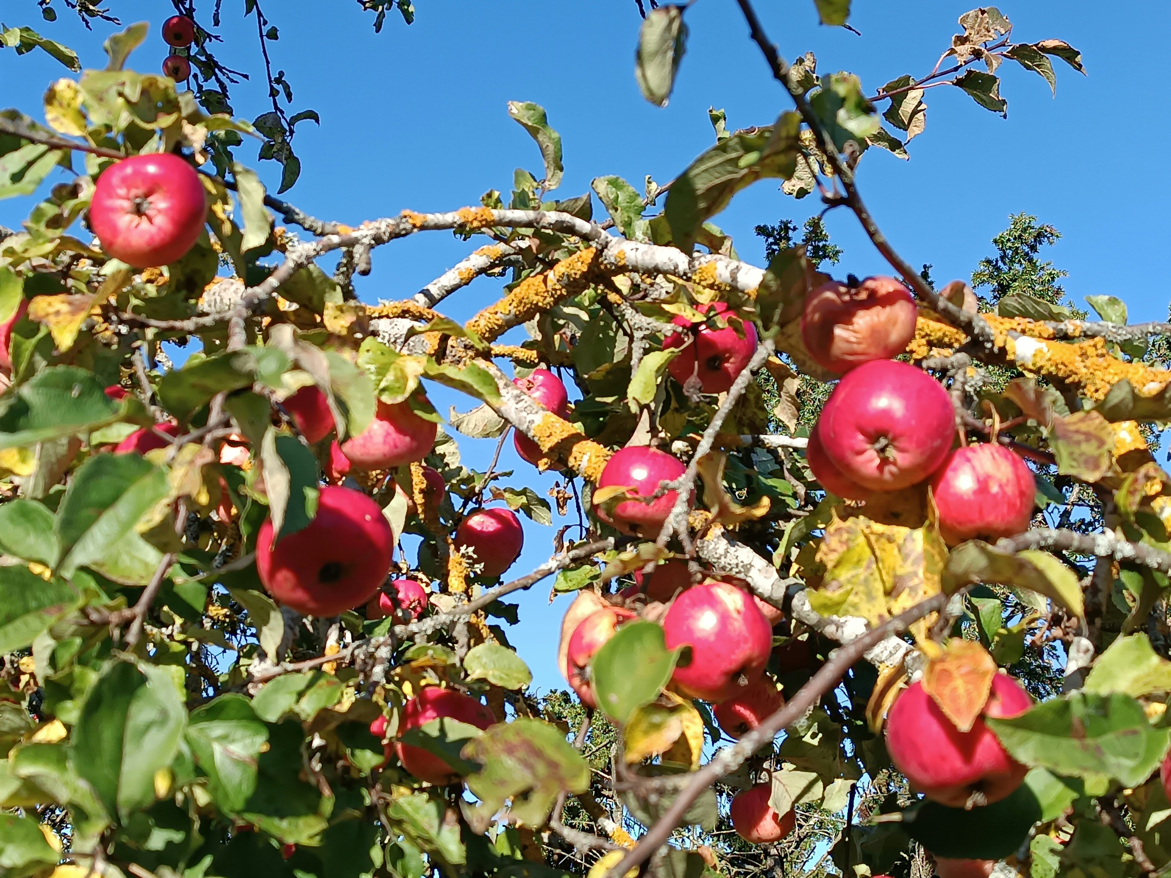 Photo by Tomasz Anusiewicz with Xiaomi Redmi Note 12S