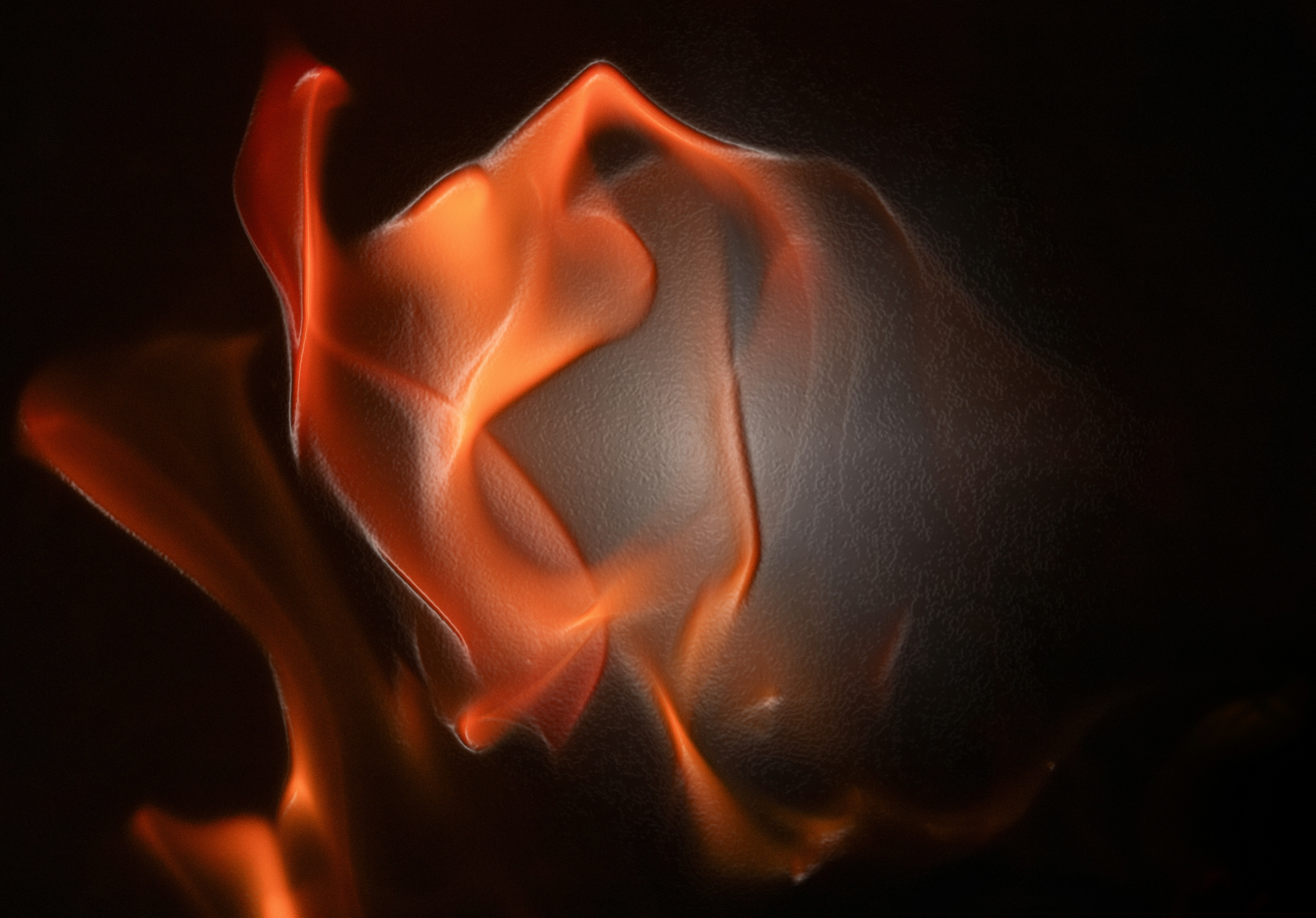 Photo by MARIOLA GROBELSKA with Canon EOS 6D Mark II