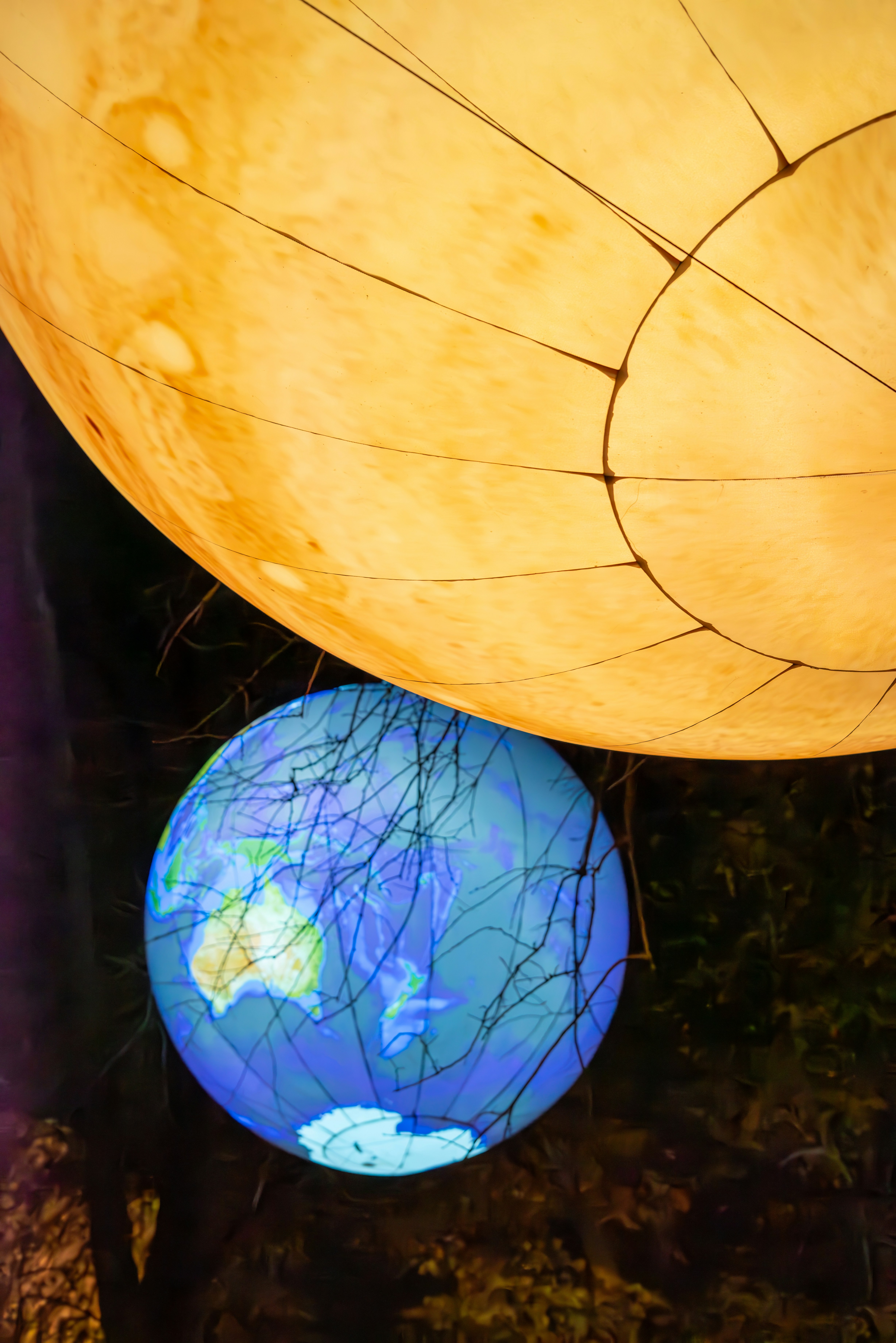 Photo by Gunnar Ridderström with Sony Alpha 7R