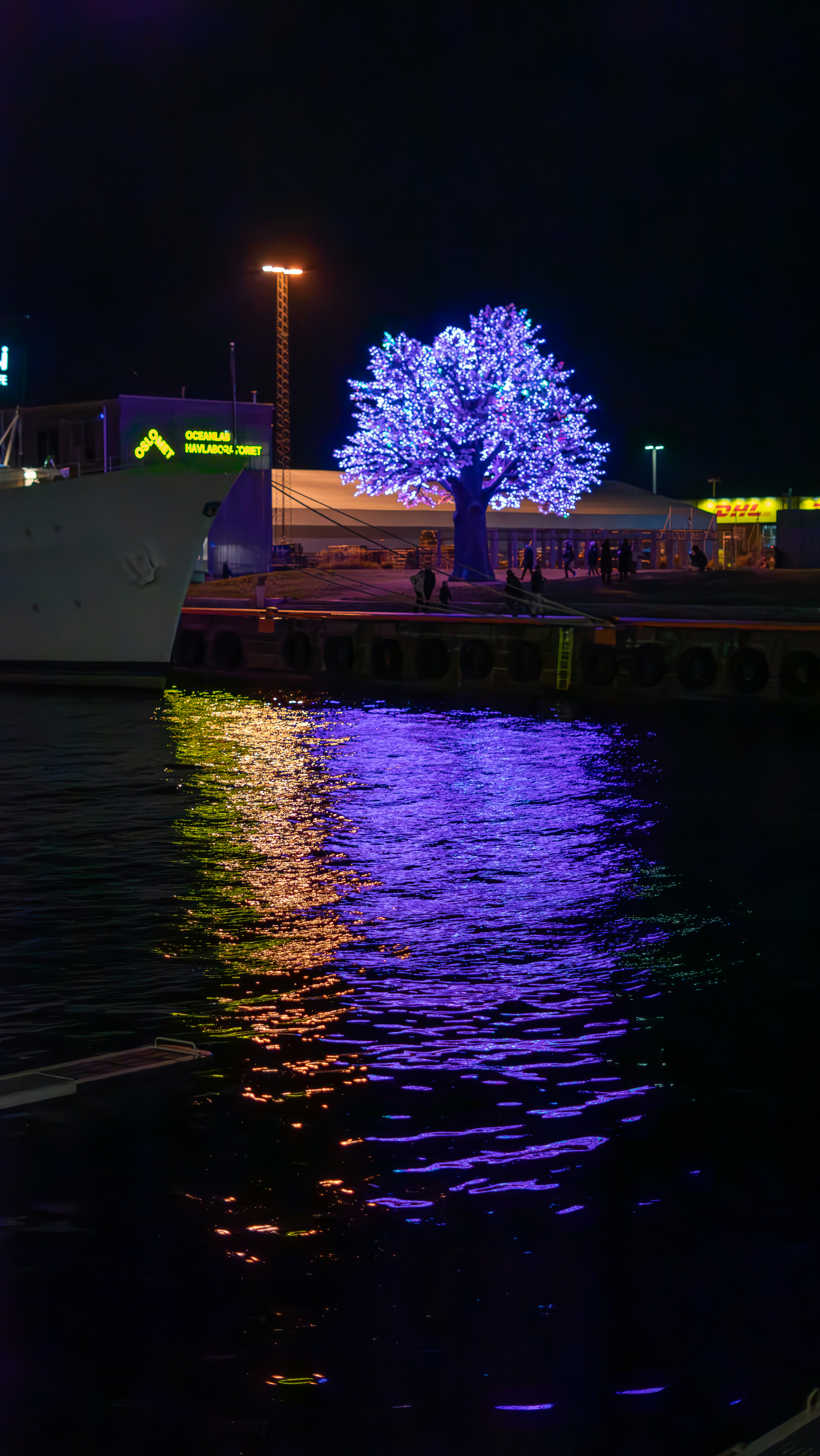 Photo by Gunnar Ridderström with Sony Alpha 7R