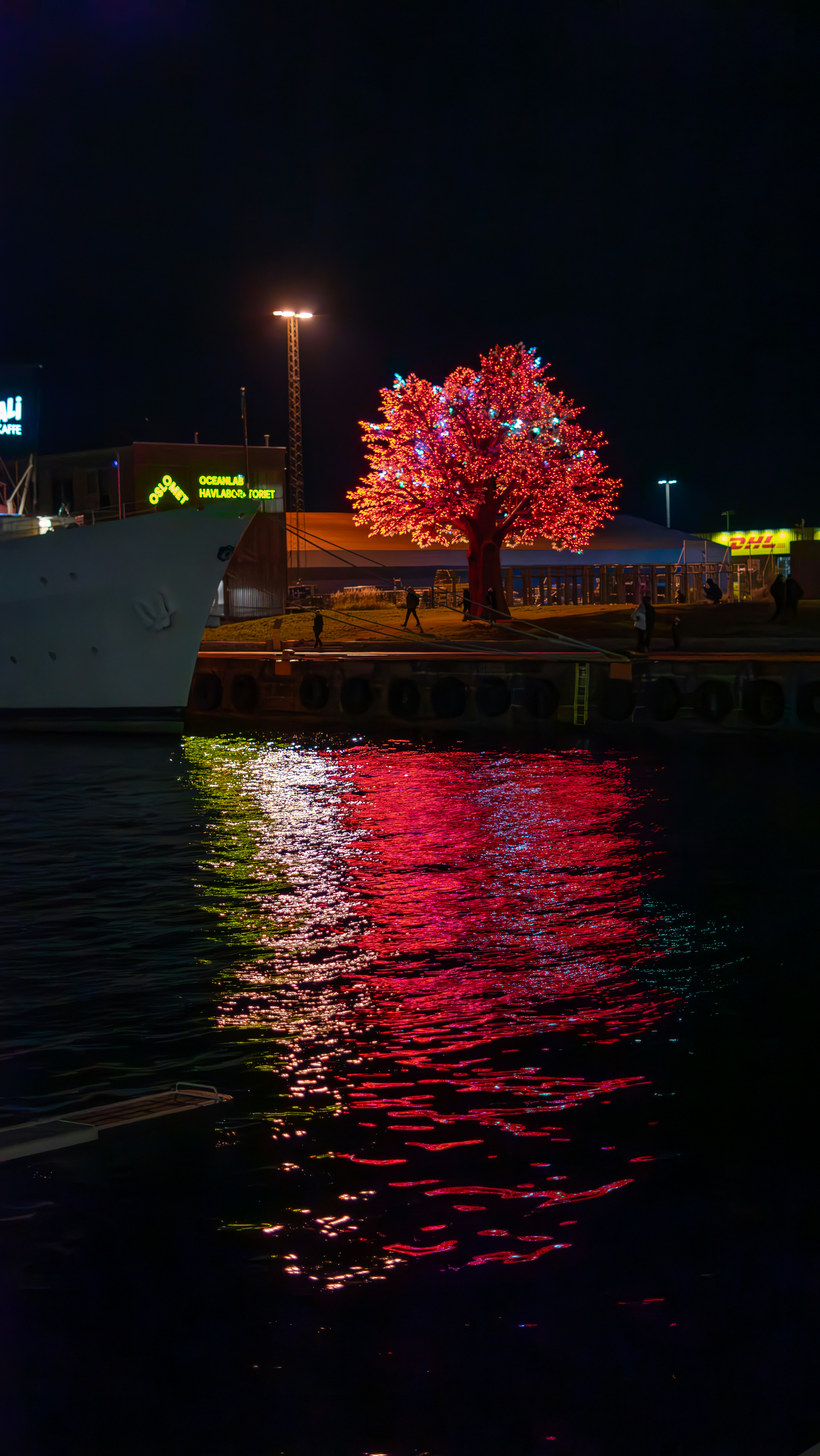 Photo by Gunnar Ridderström with Sony Alpha 7R