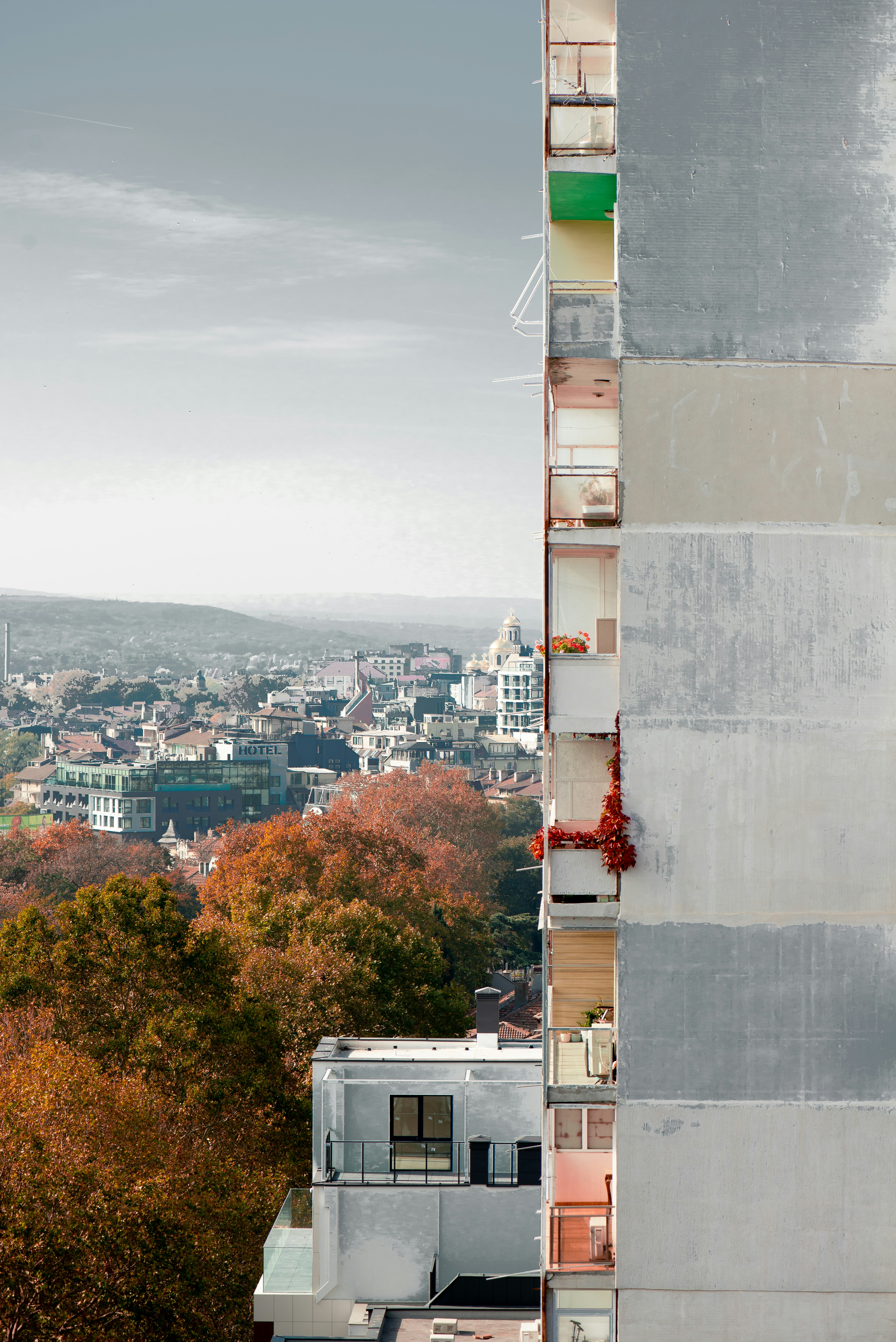 Emerald Balcony Breaks the Grey: A Vertical Slice of Autumn City