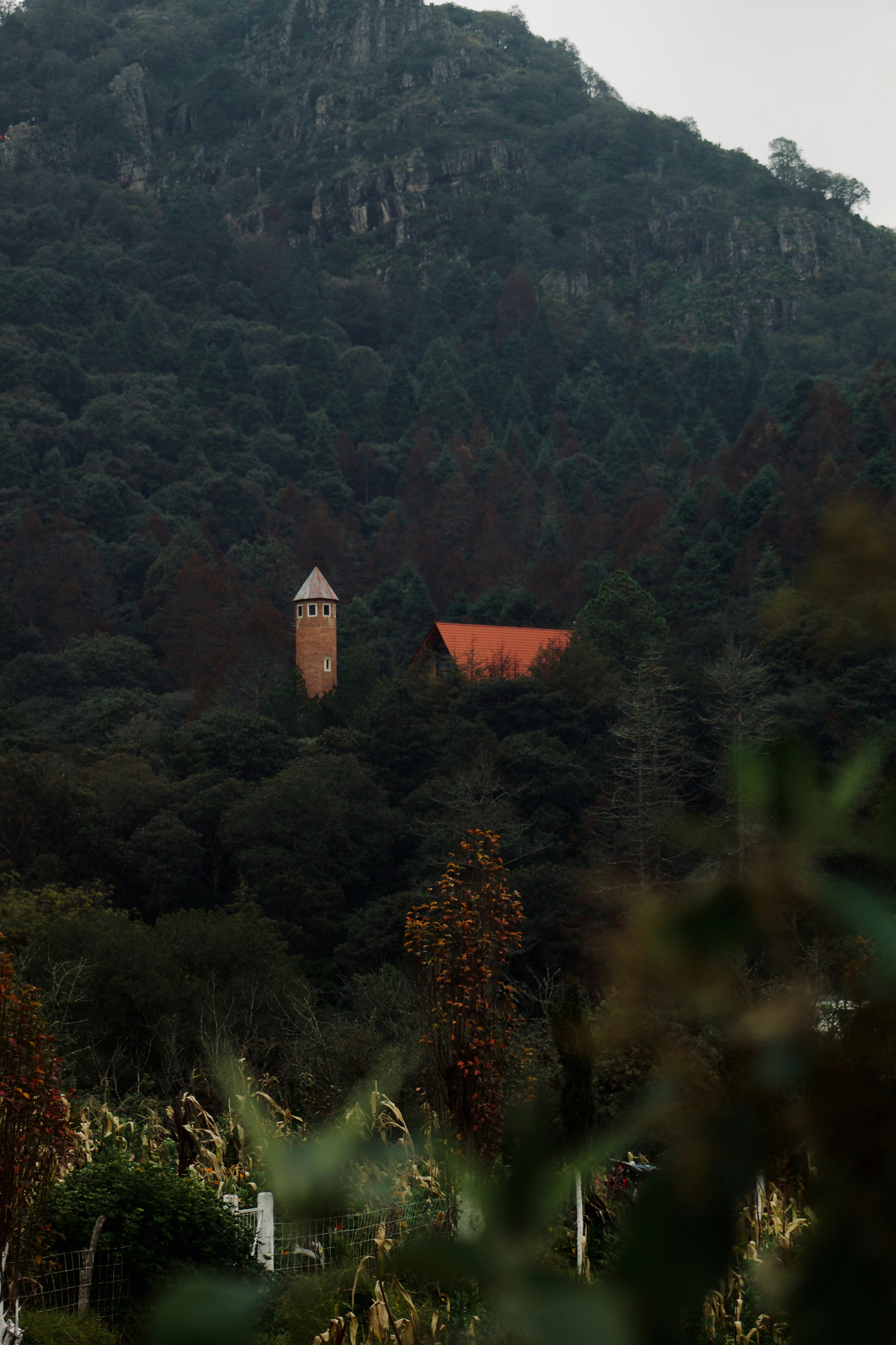 Secluded Brick Tower Peering Through a Forested Ridge