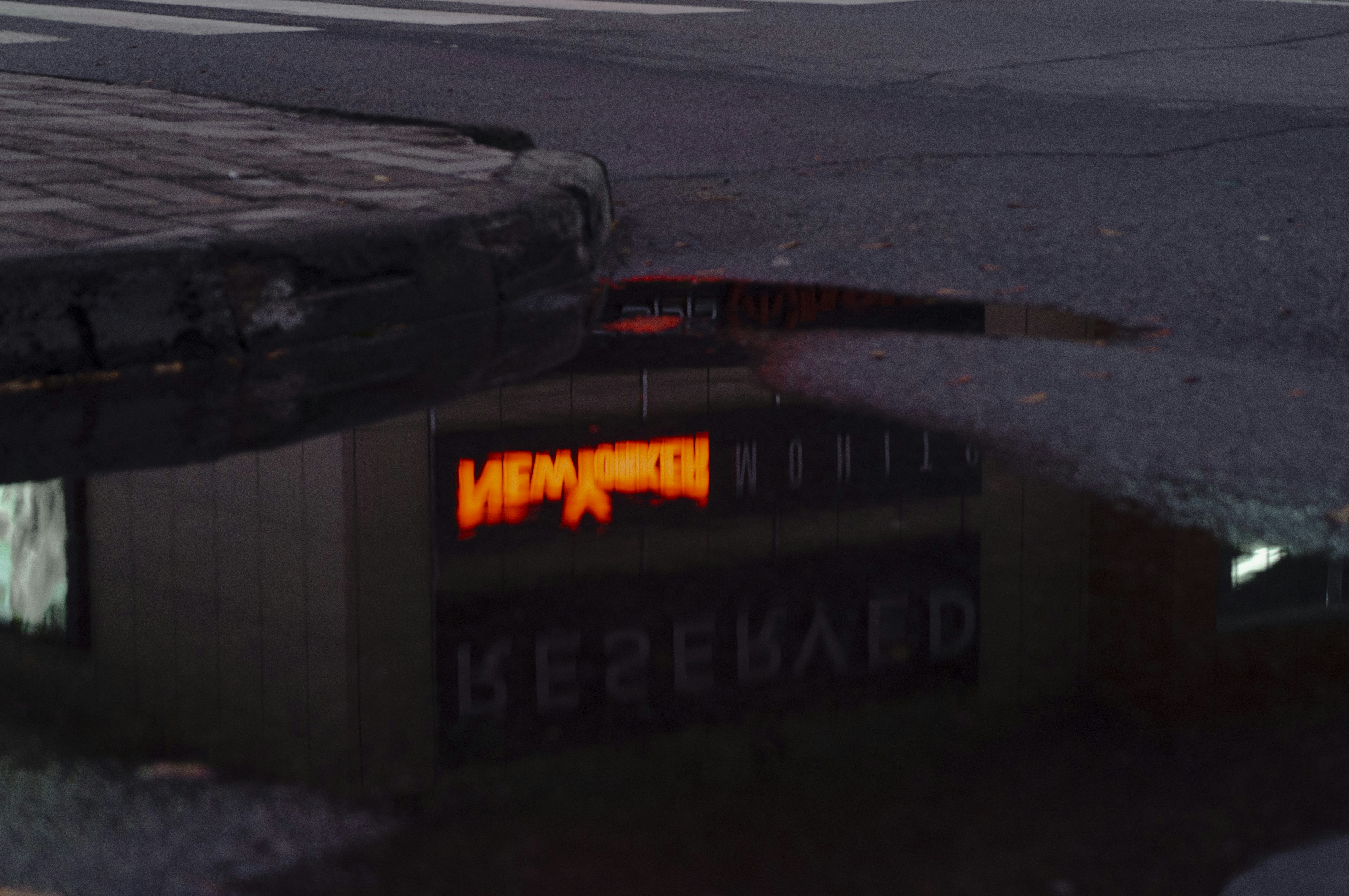Puddle Mirage: Neon Echo on a Rain-Wet Street