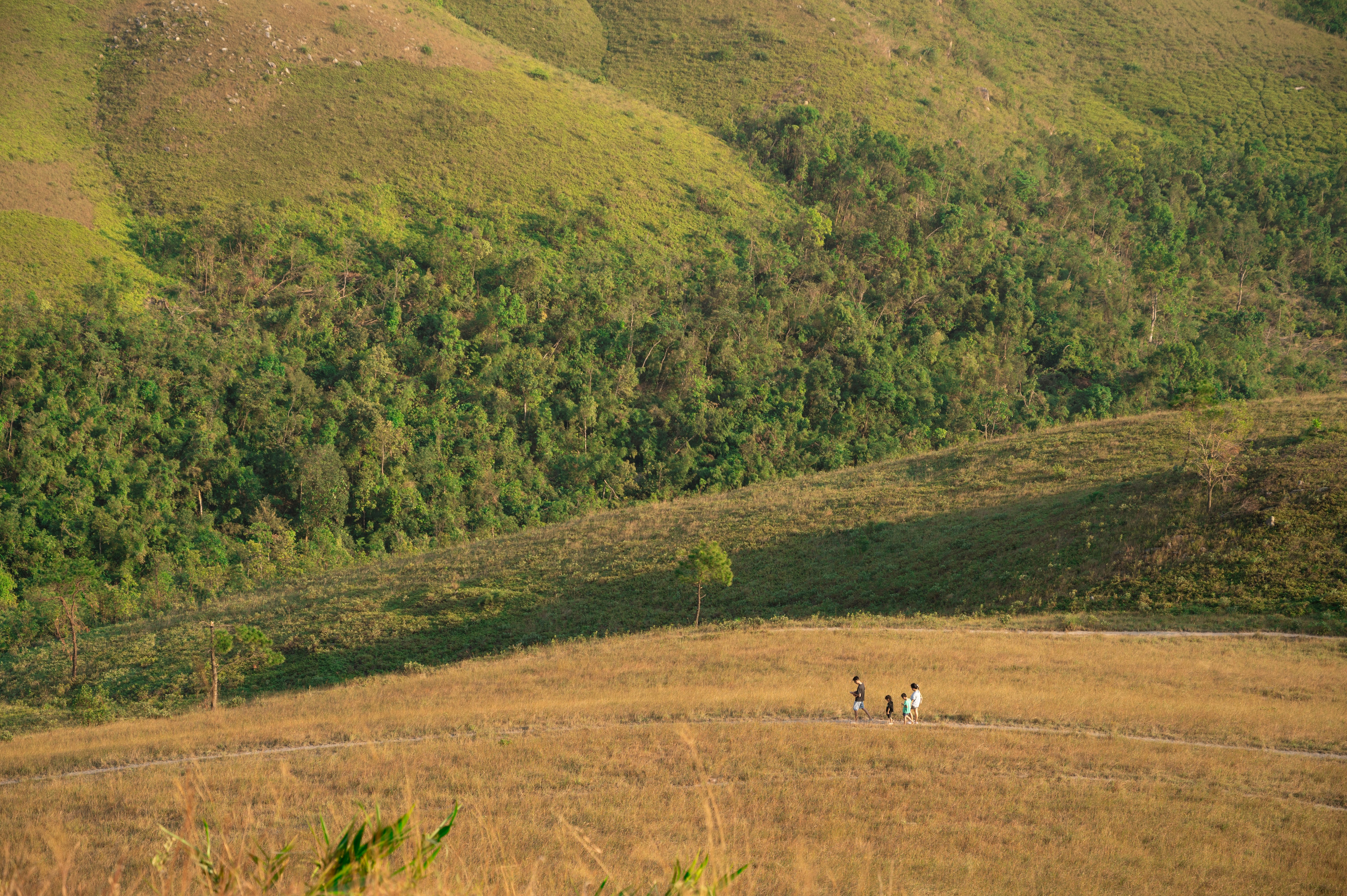 Photo by Phạm Mạnh with Nikon Z6