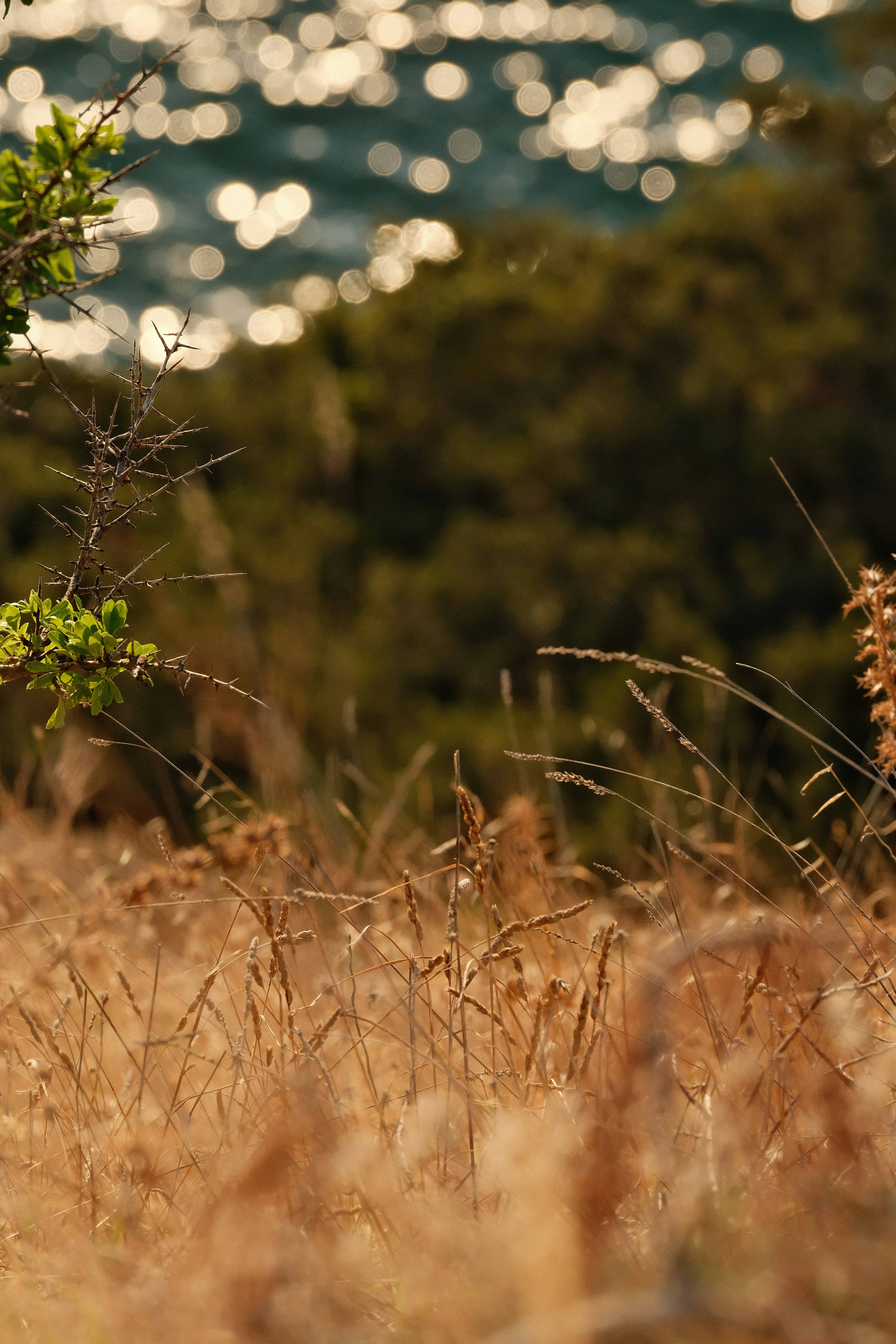 Photo by Lauren Zhang with Fujifilm X-S10