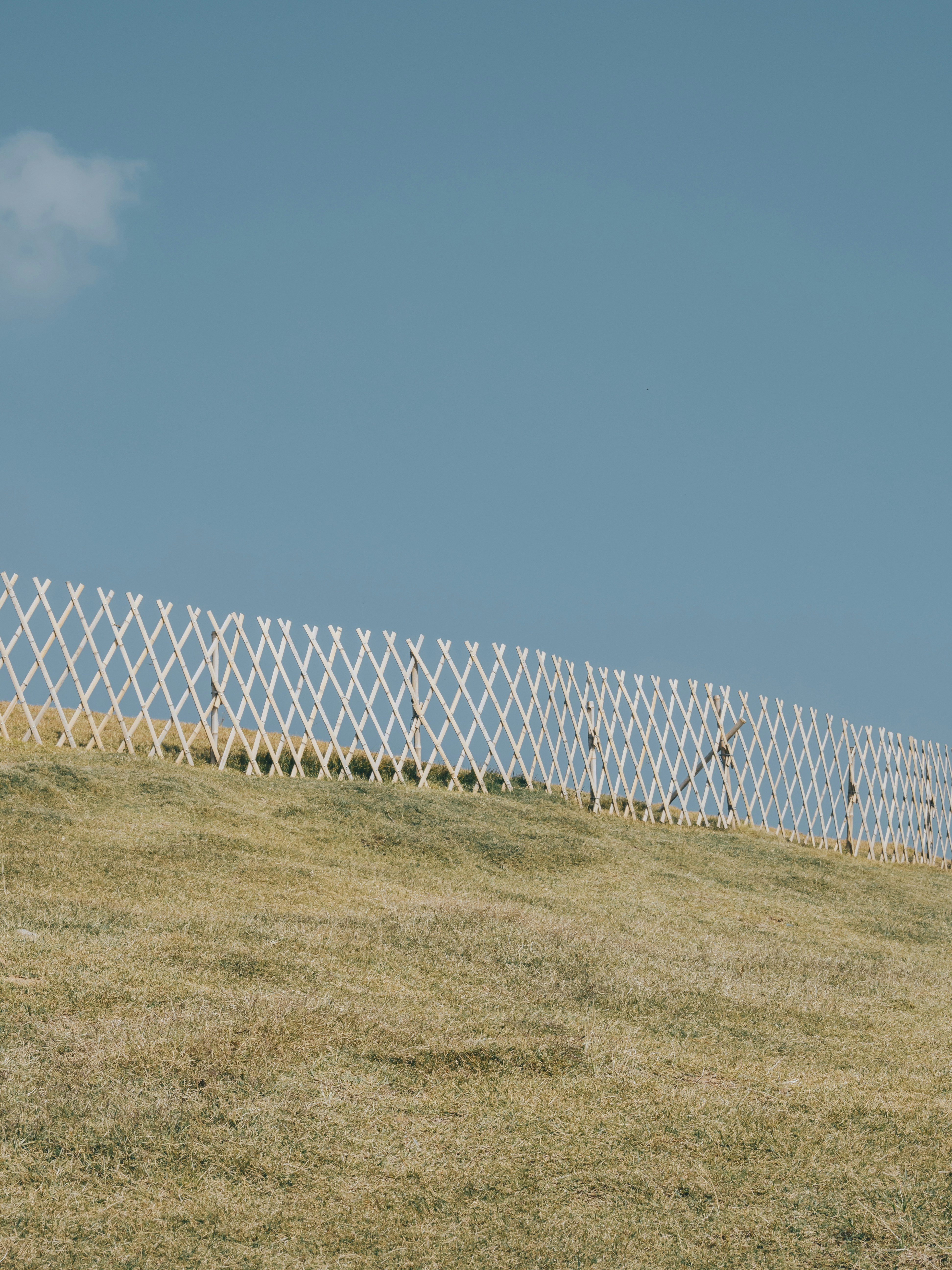 Diagonal Fence Over Gentle Slope Beneath Clear Sky