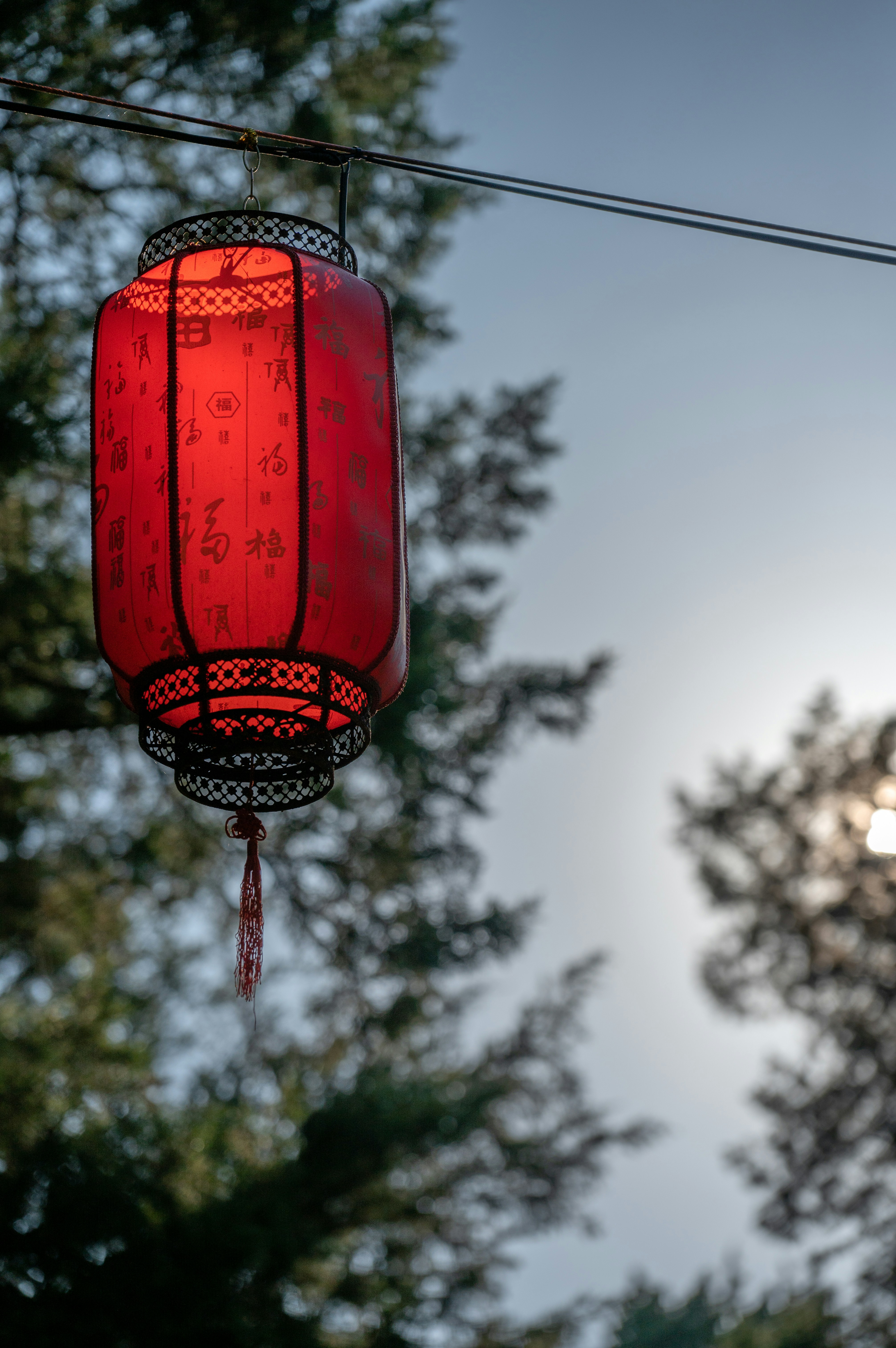 Red Lantern in Focus: Chinese New Year Glow Against Quiet Sky