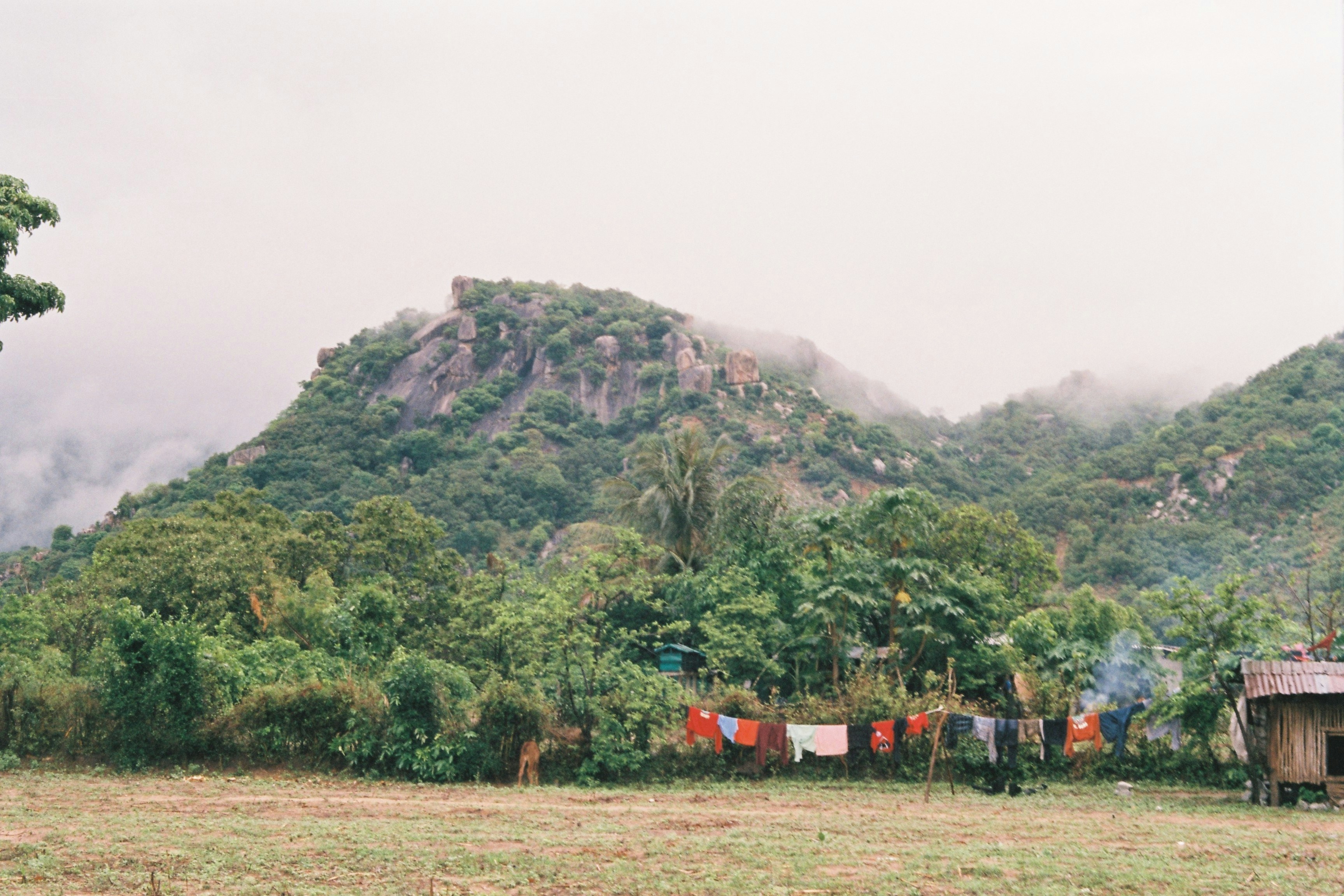 Misty Morning in Verdant Valleys