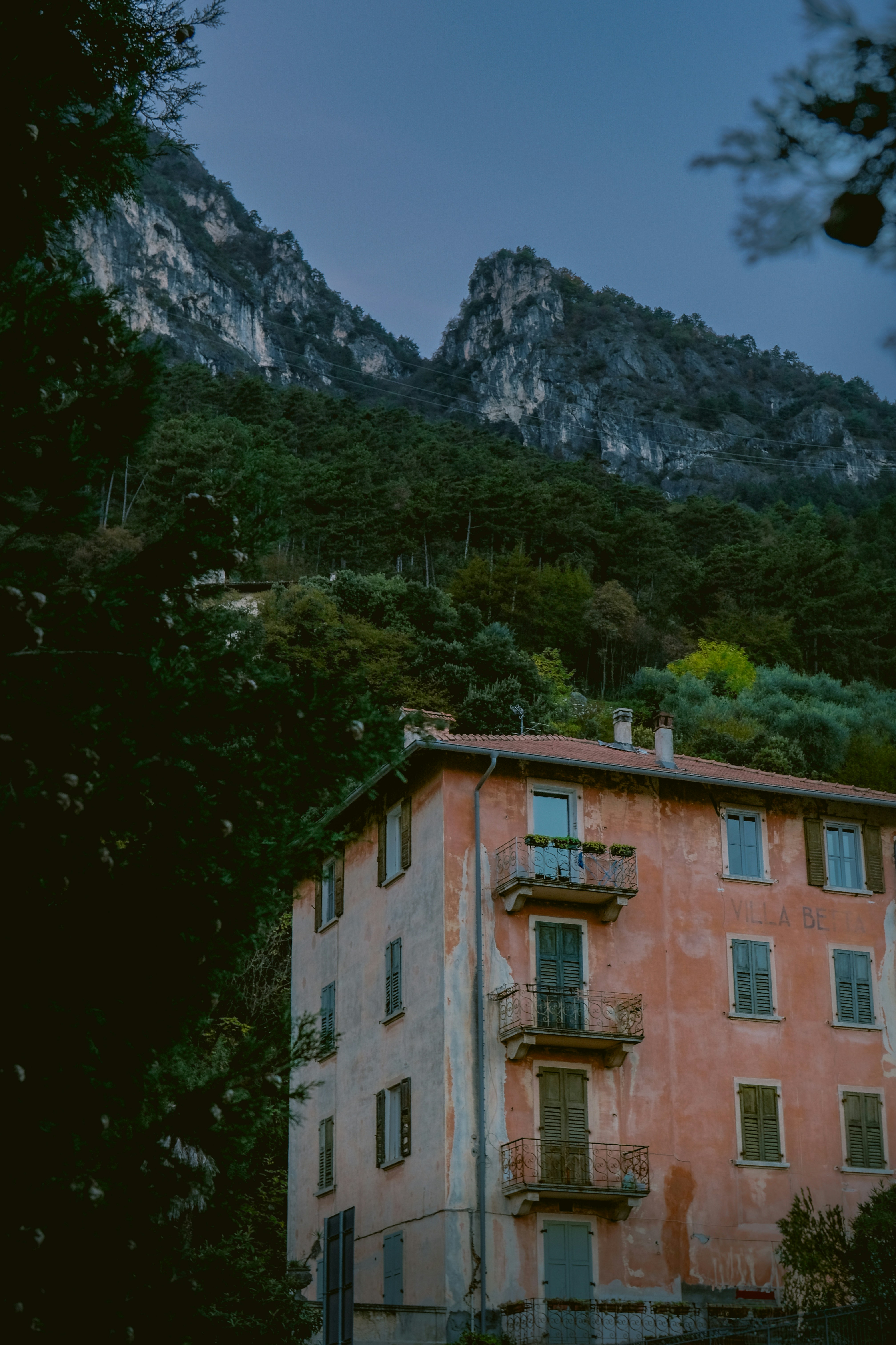 Terracotta Facade Anchored by Alpine Pines