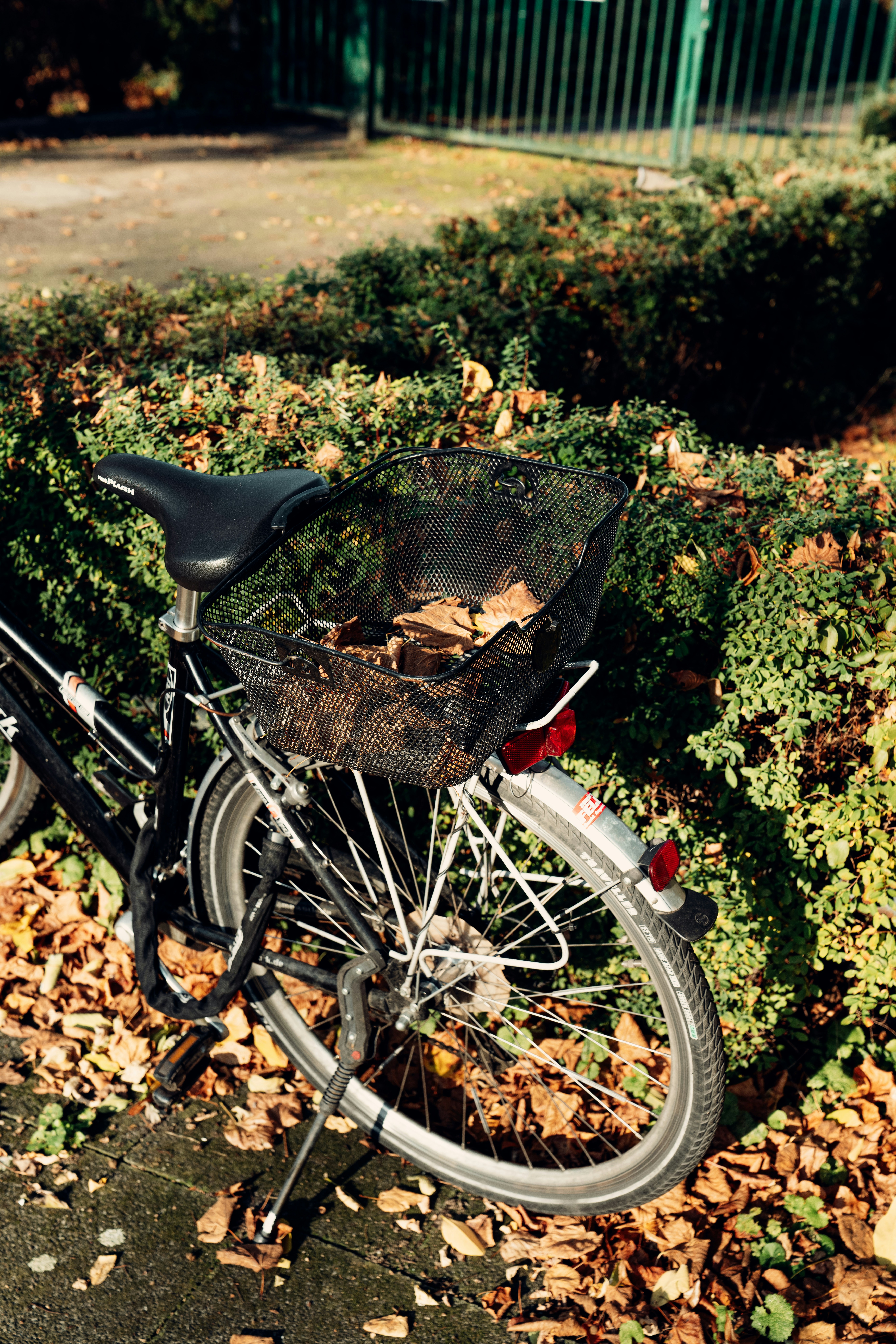 Autumn Grip: Bicycle with Front Basket on Leaf-Littered Path