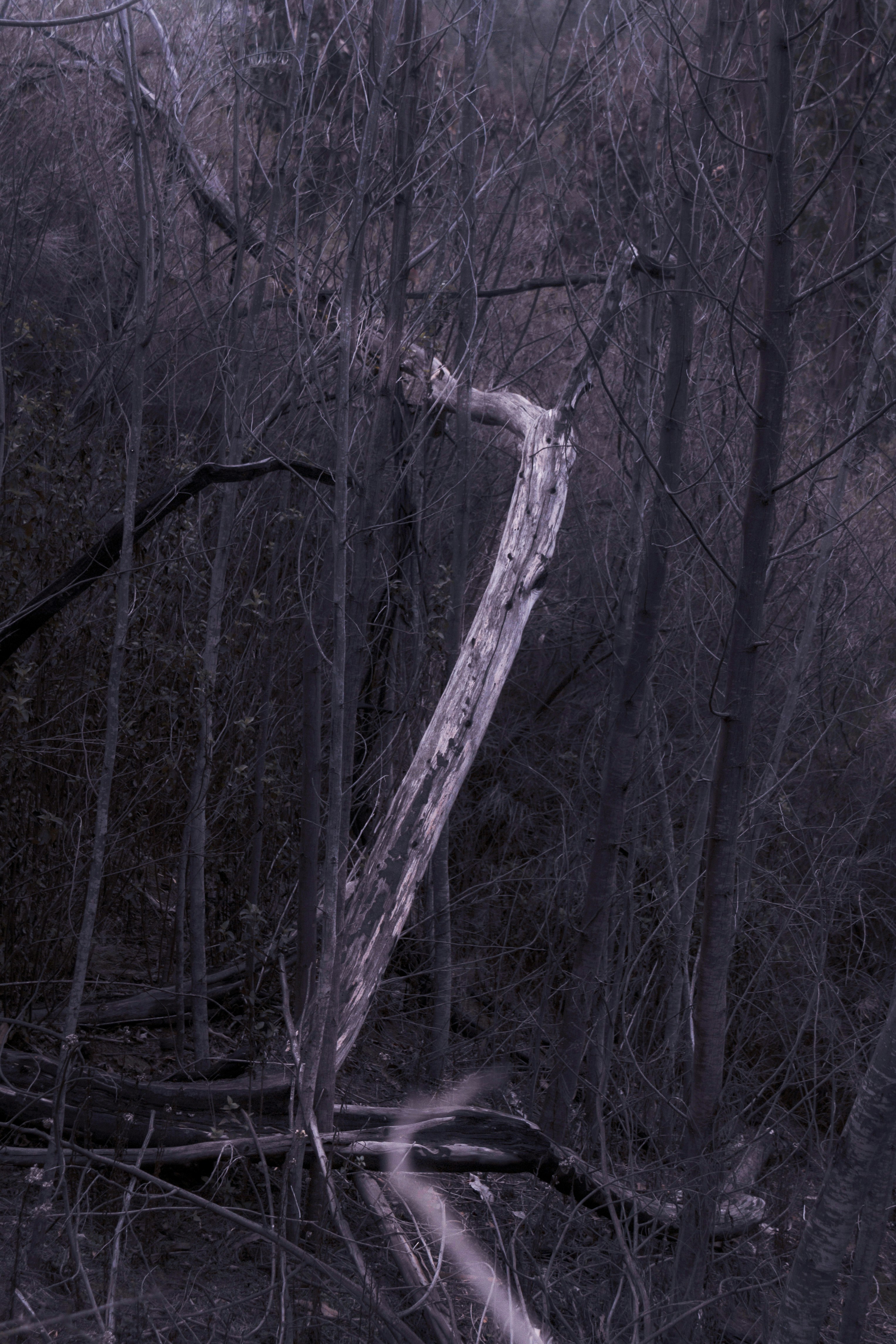 Photo by Fernanda Quiroga with Canon EOS 1200D