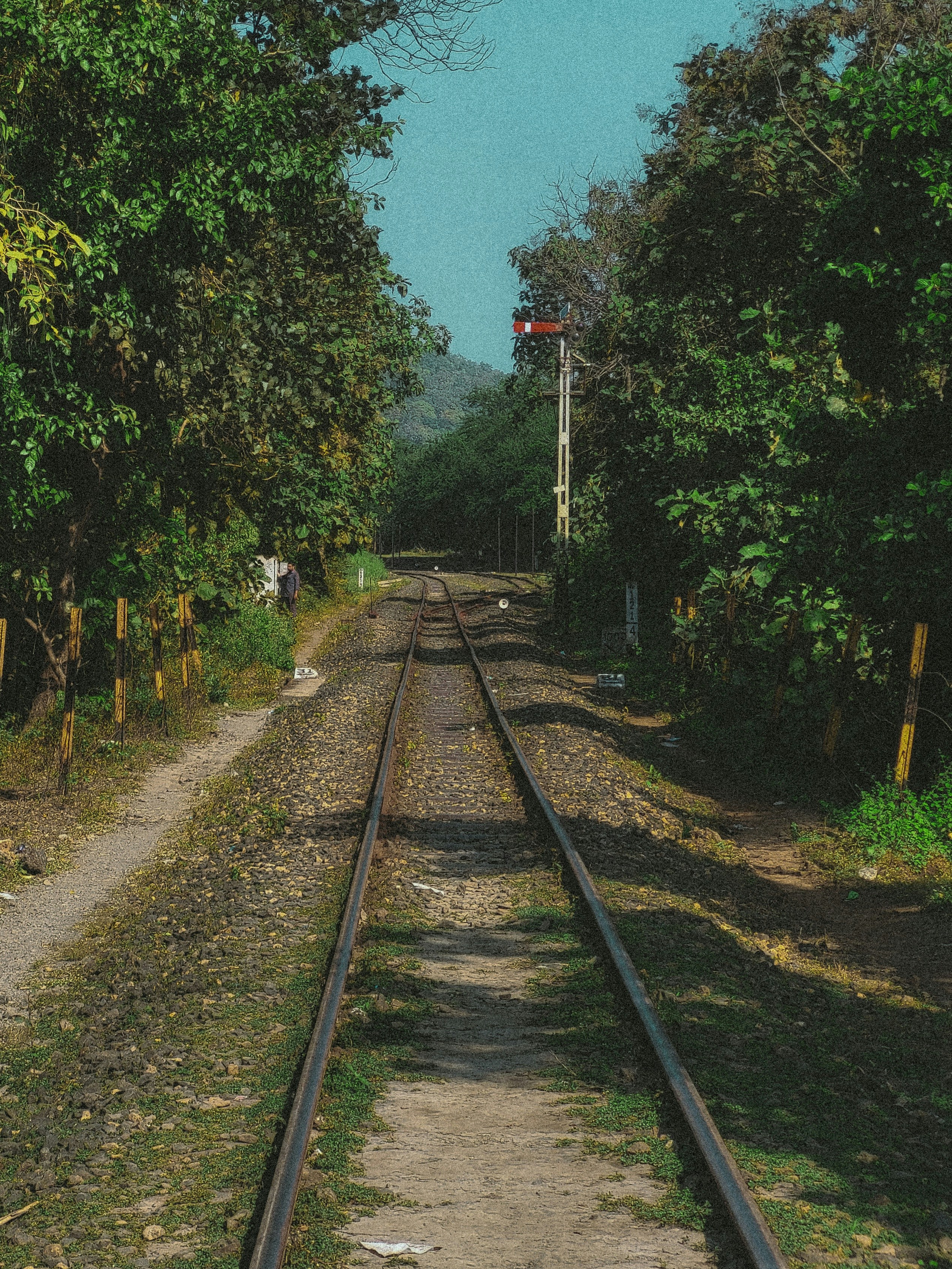 Vanishing Rails Through a Sunlit Green Corridor