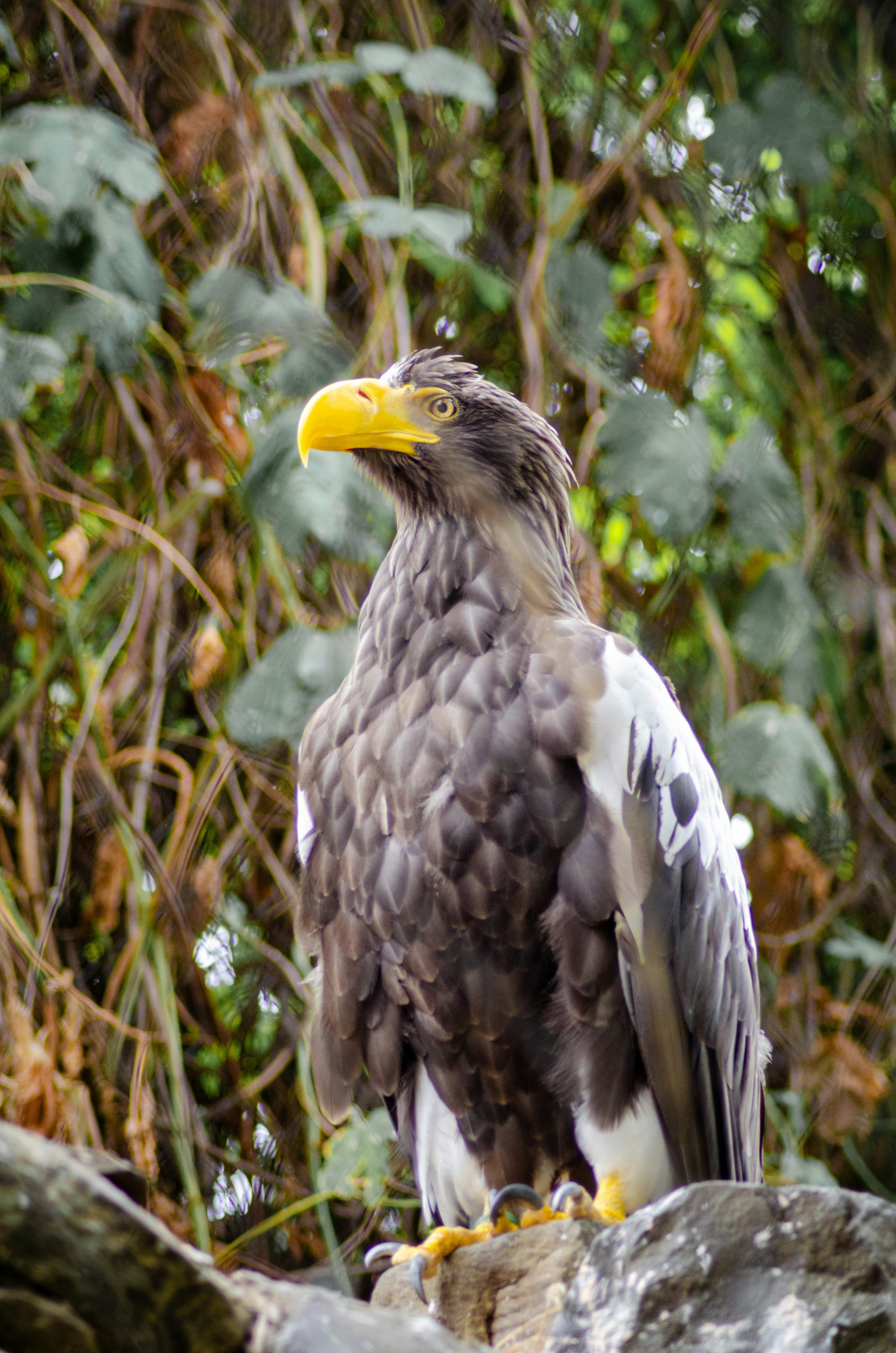 Photo by Maksim Golovko with Nikon D5100