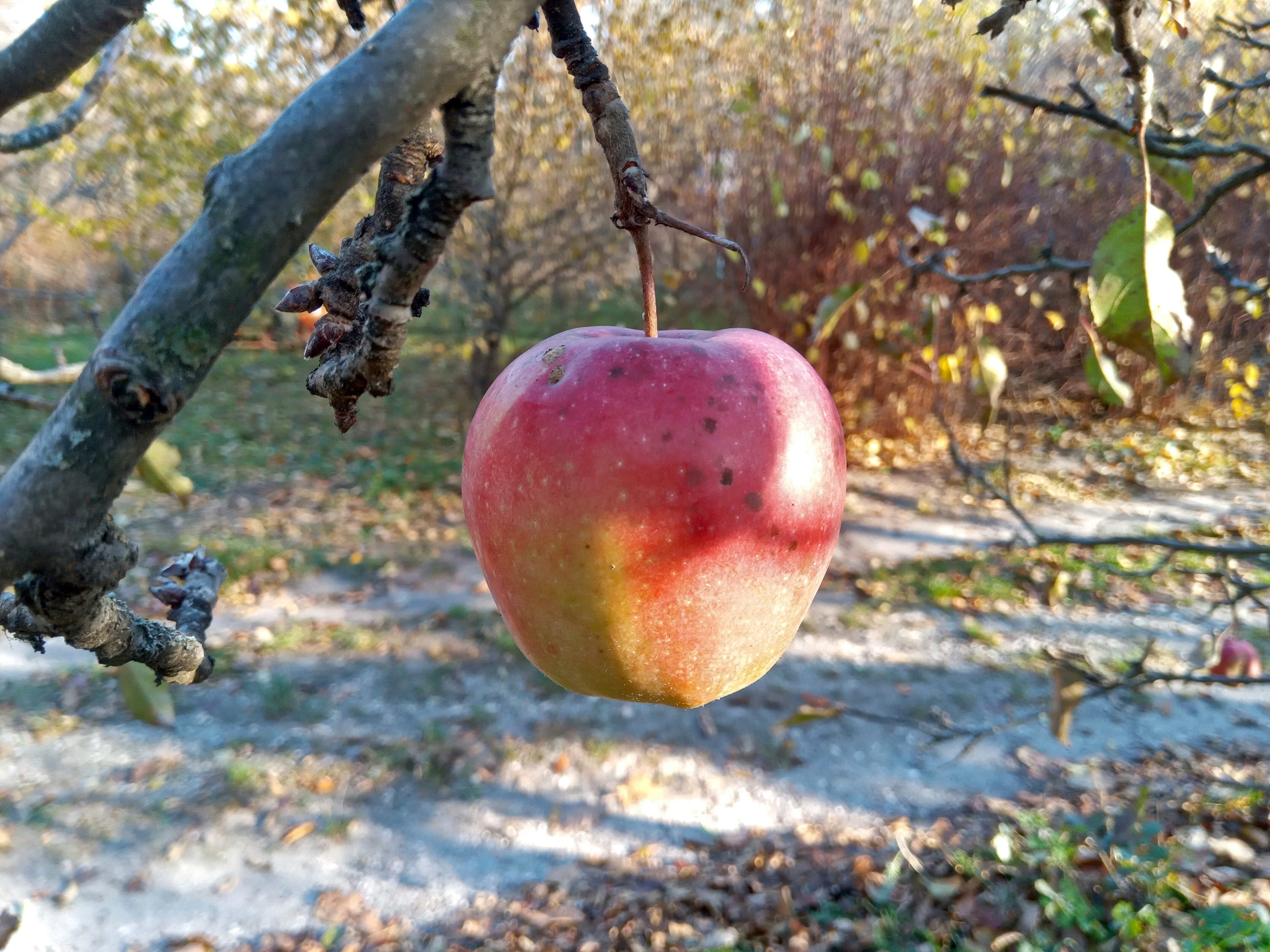 Autumn sketches. - Jesienne szkice. - Осенние зарисовки