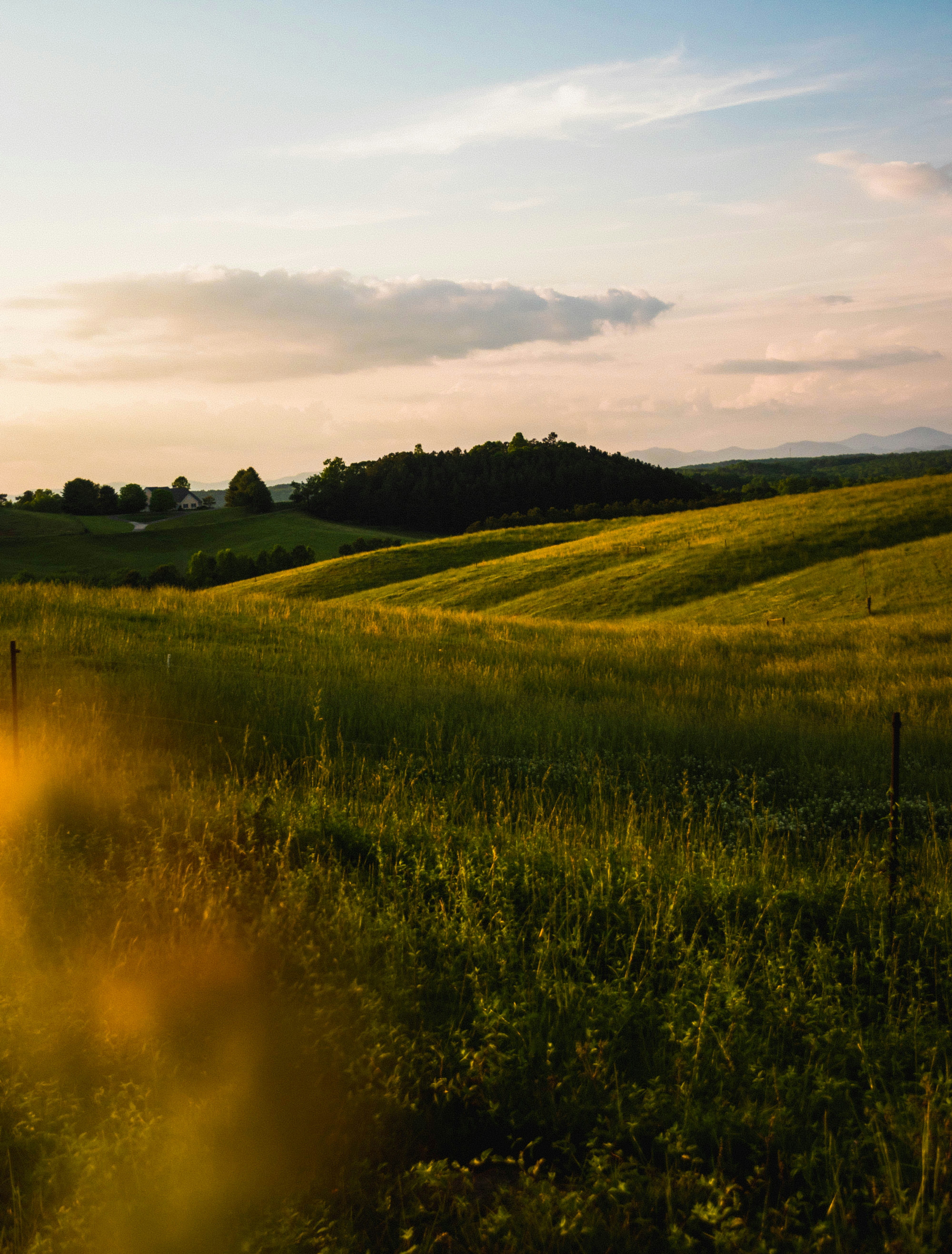 Dusk on the Meadow Ridge: Sunlit Grass and Quiet Hills