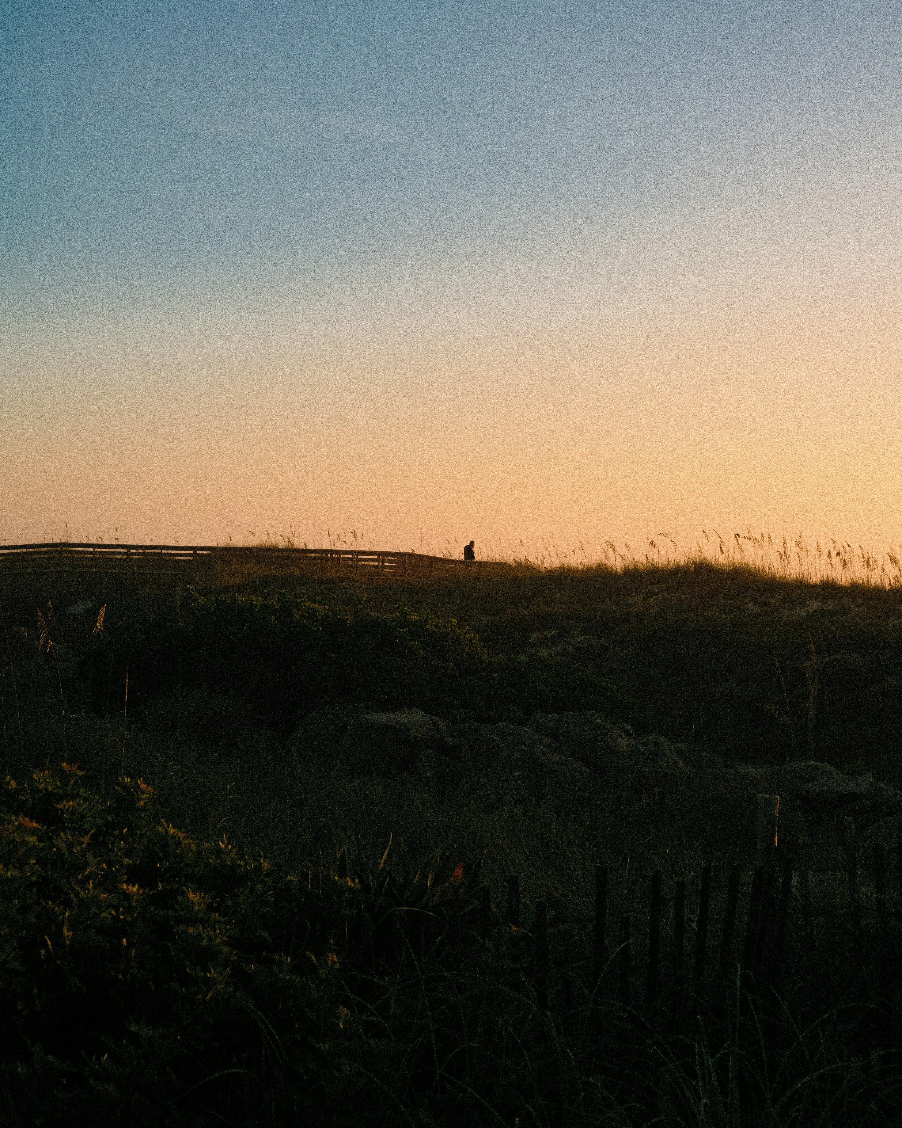 Jackson Conner (@jrc9713) | Unsplash Photo Community