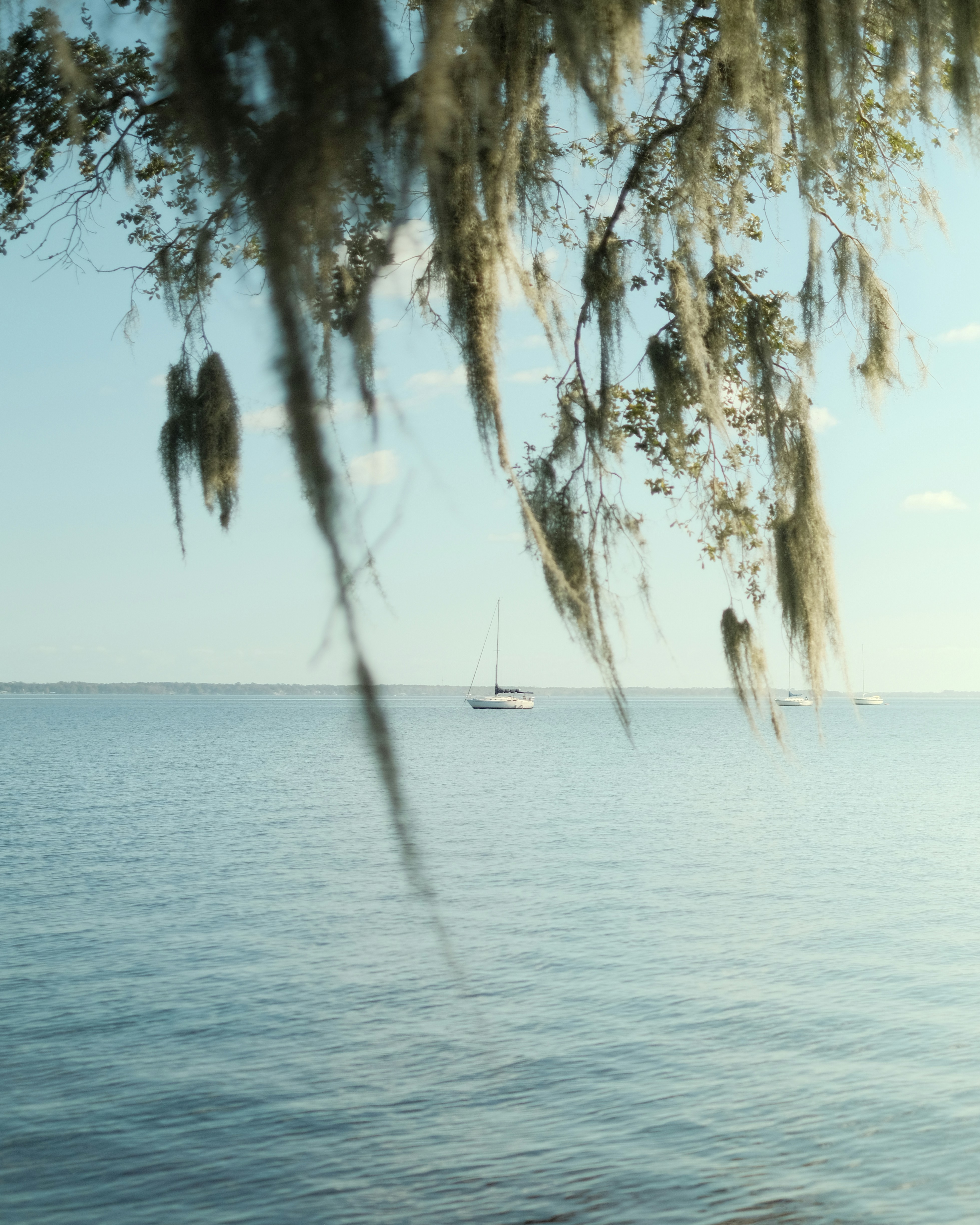 Jackson Conner (@jrc9713) | Unsplash Photo Community